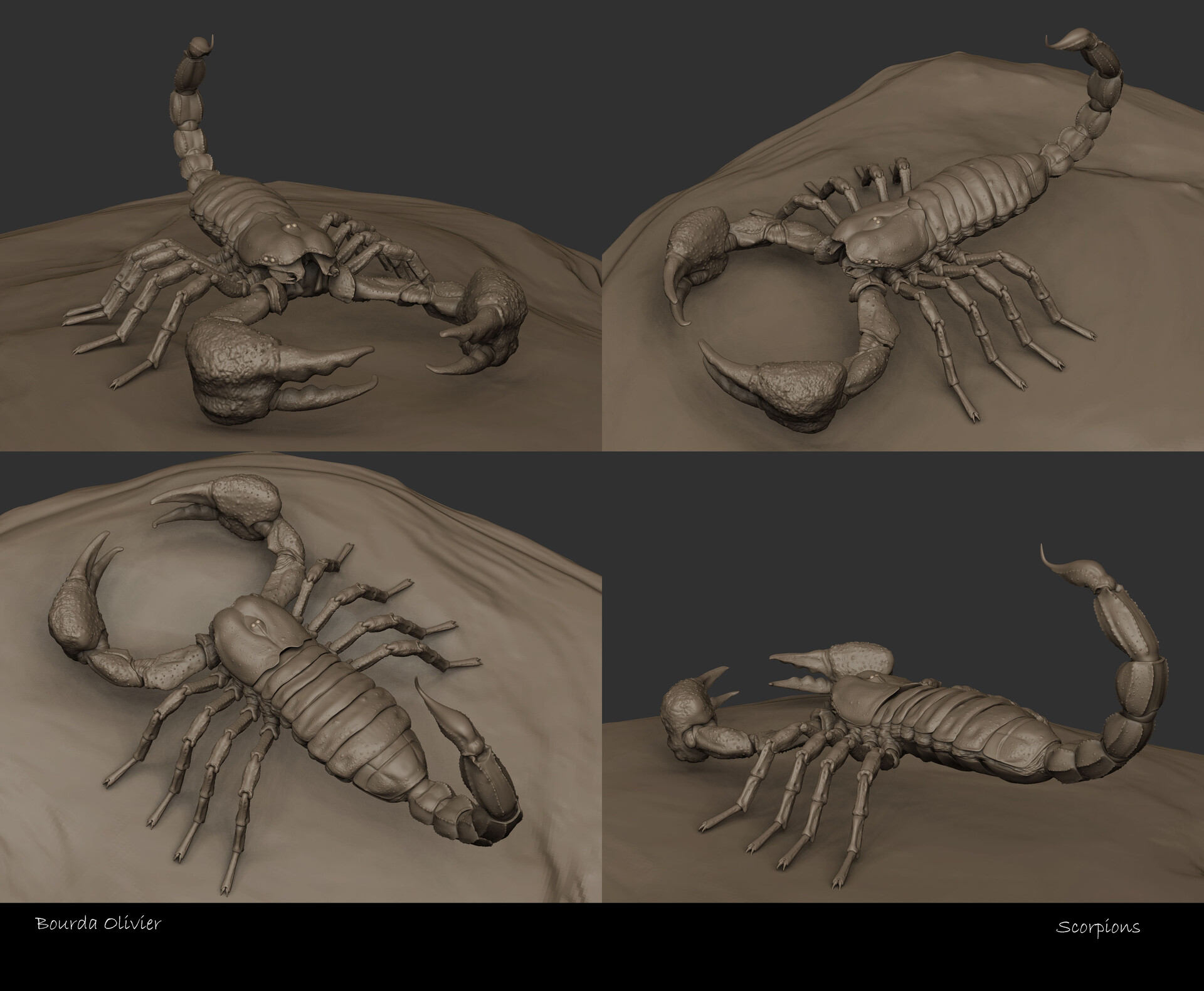 ArtStation - Scorpions (Zbrush