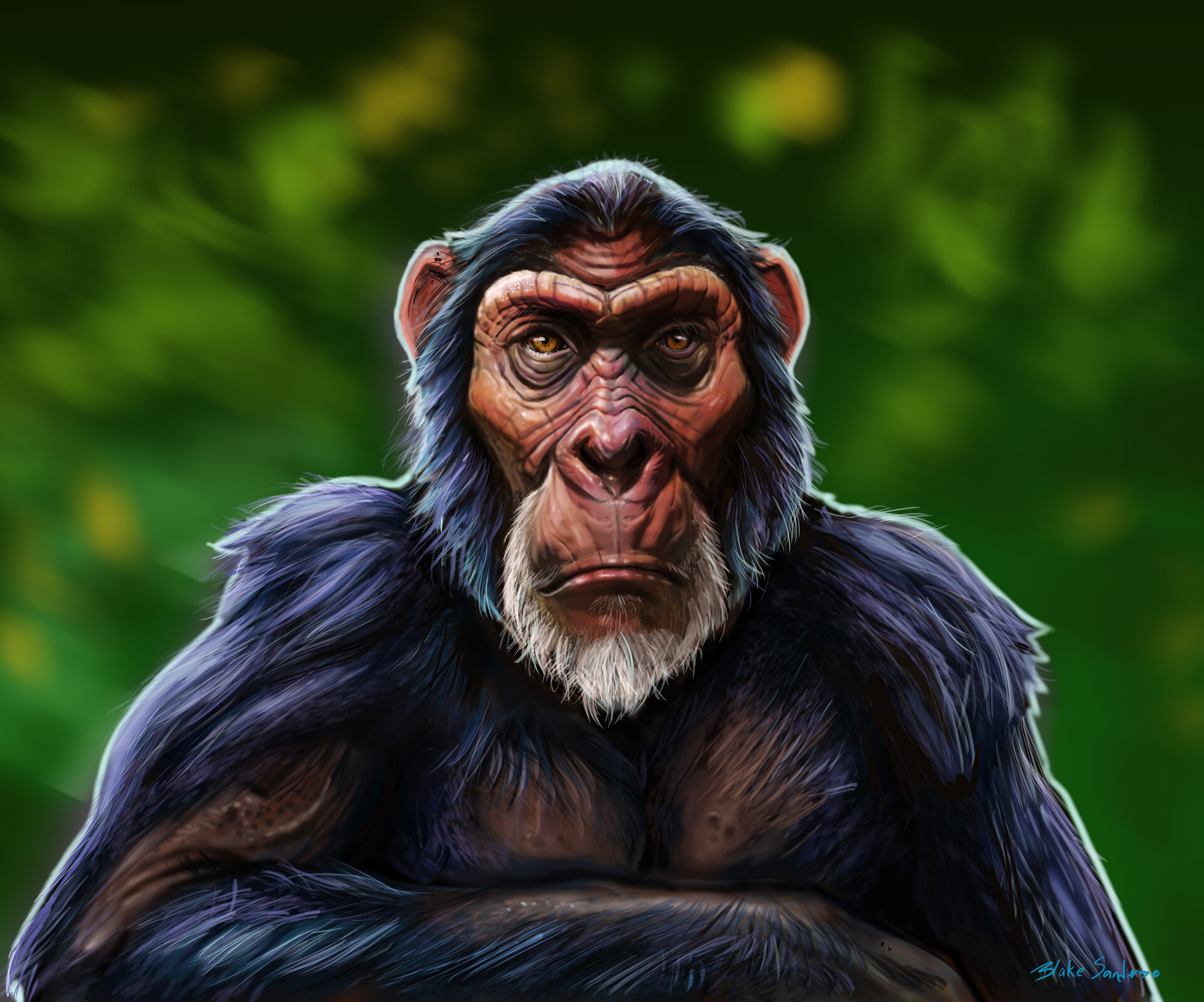 ArtStation - Chimpanzee Study