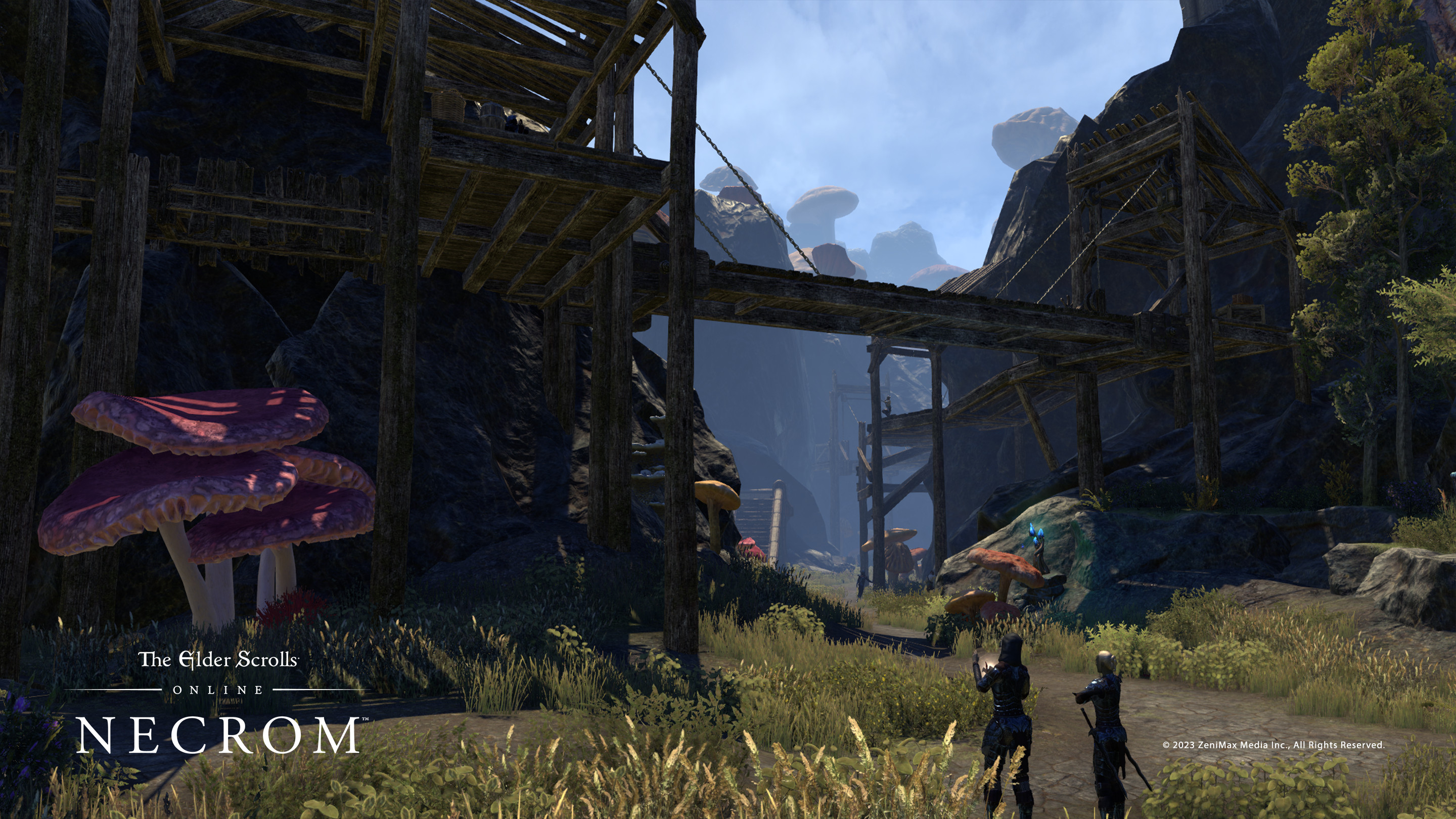 Brandon Rush - The Elder Scrolls Online - Necrom: Camonnaruhn