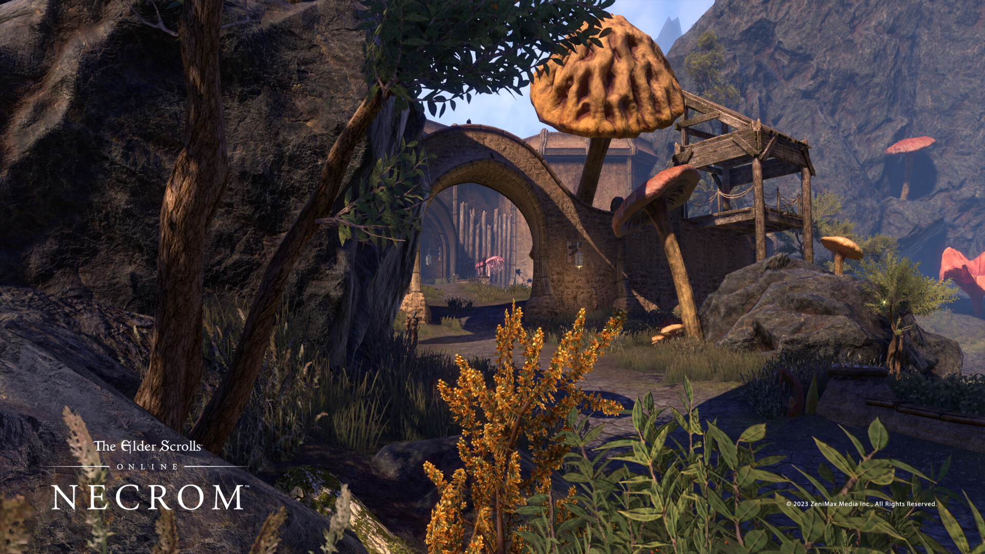 Brandon Rush - The Elder Scrolls Online - Necrom: Camonnaruhn