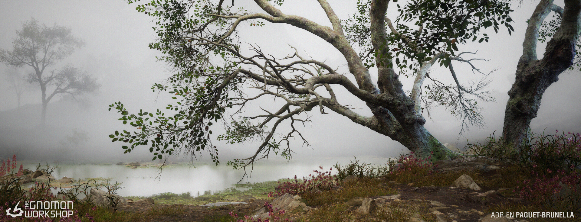 Adrien Paguet-Brunella - The Gnomon Workshop : Creating a Swamp Scene ...