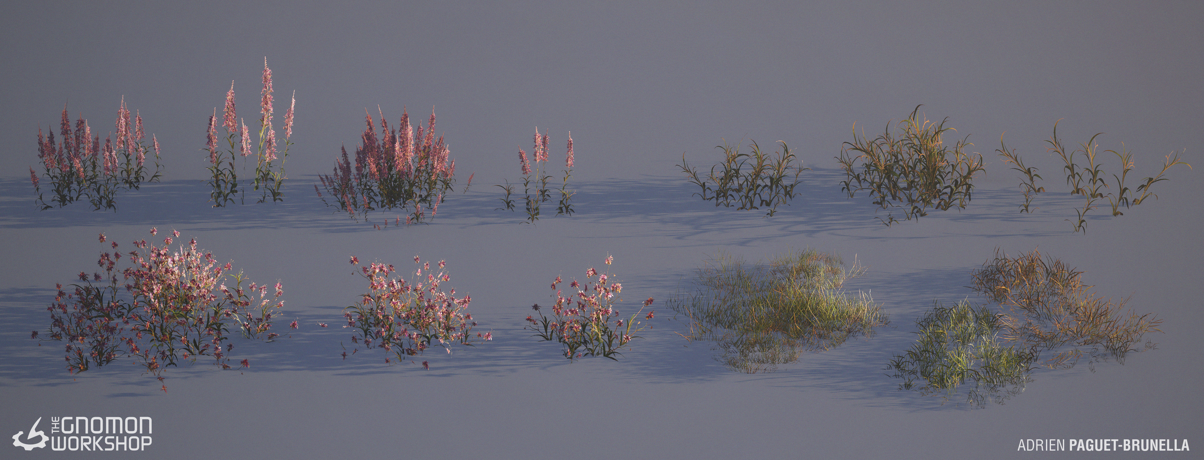 adrien-paguet-brunella-adrienpaguetbrunella-gnomonworkshop-lineup3.jpg ...