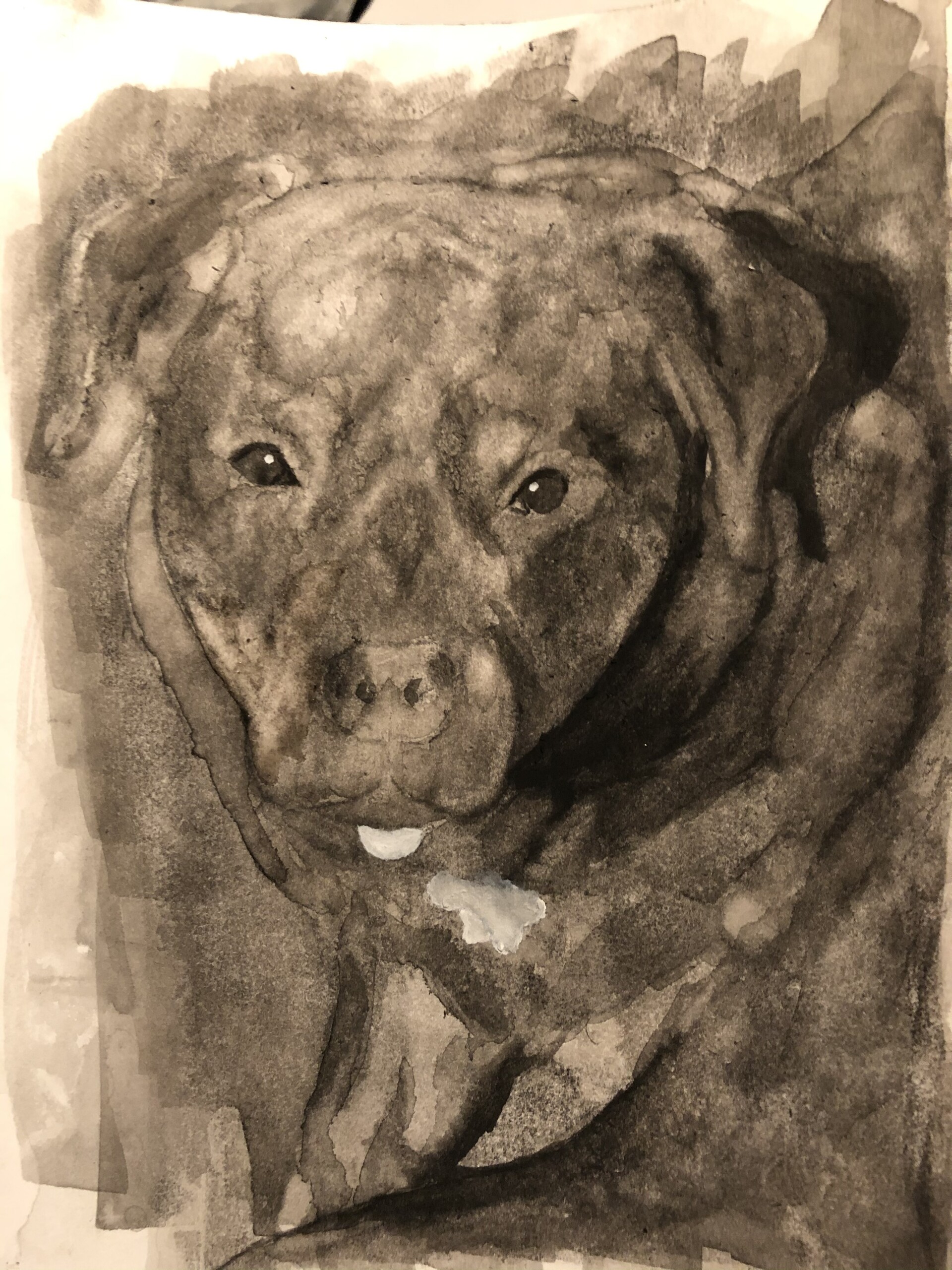 ArtStation - Ozzy Monster