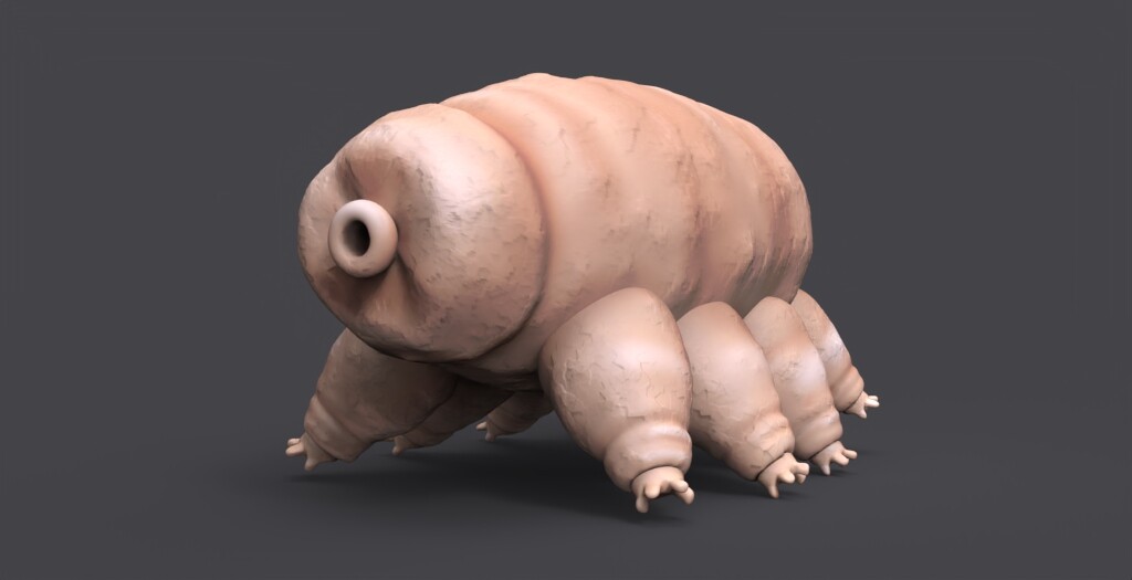 ArtStation - Tardigrade Model