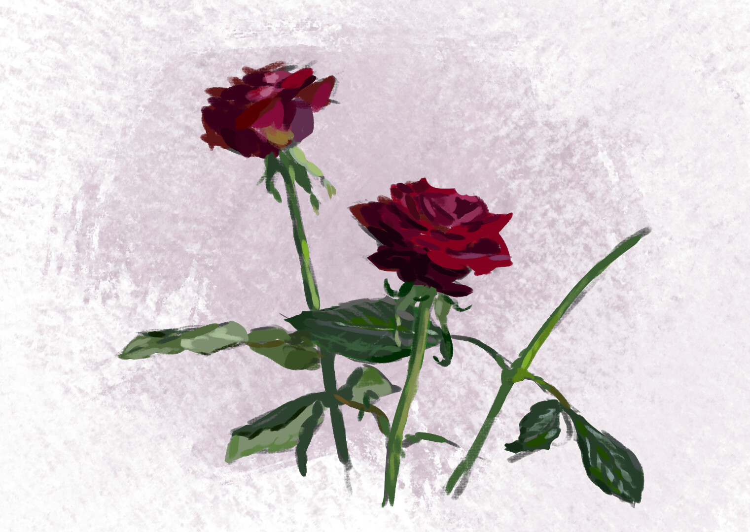 ArtStation - Roses