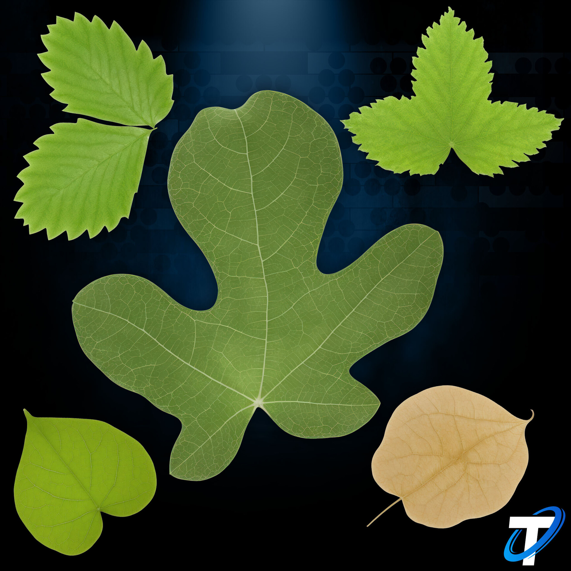 ArtStation - 50 Realistic Leaves - PBR Textures (MEGA Bundle) - Vol 3