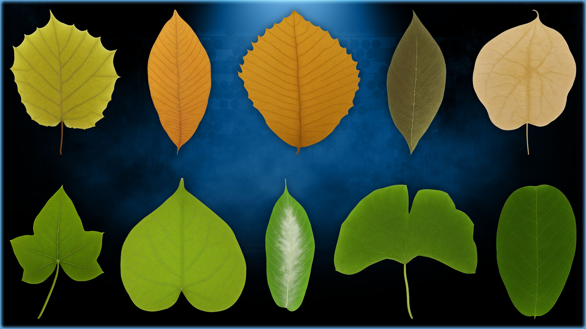 T - World - 50 Realistic Leaves - PBR Textures (MEGA Bundle) - Vol 3