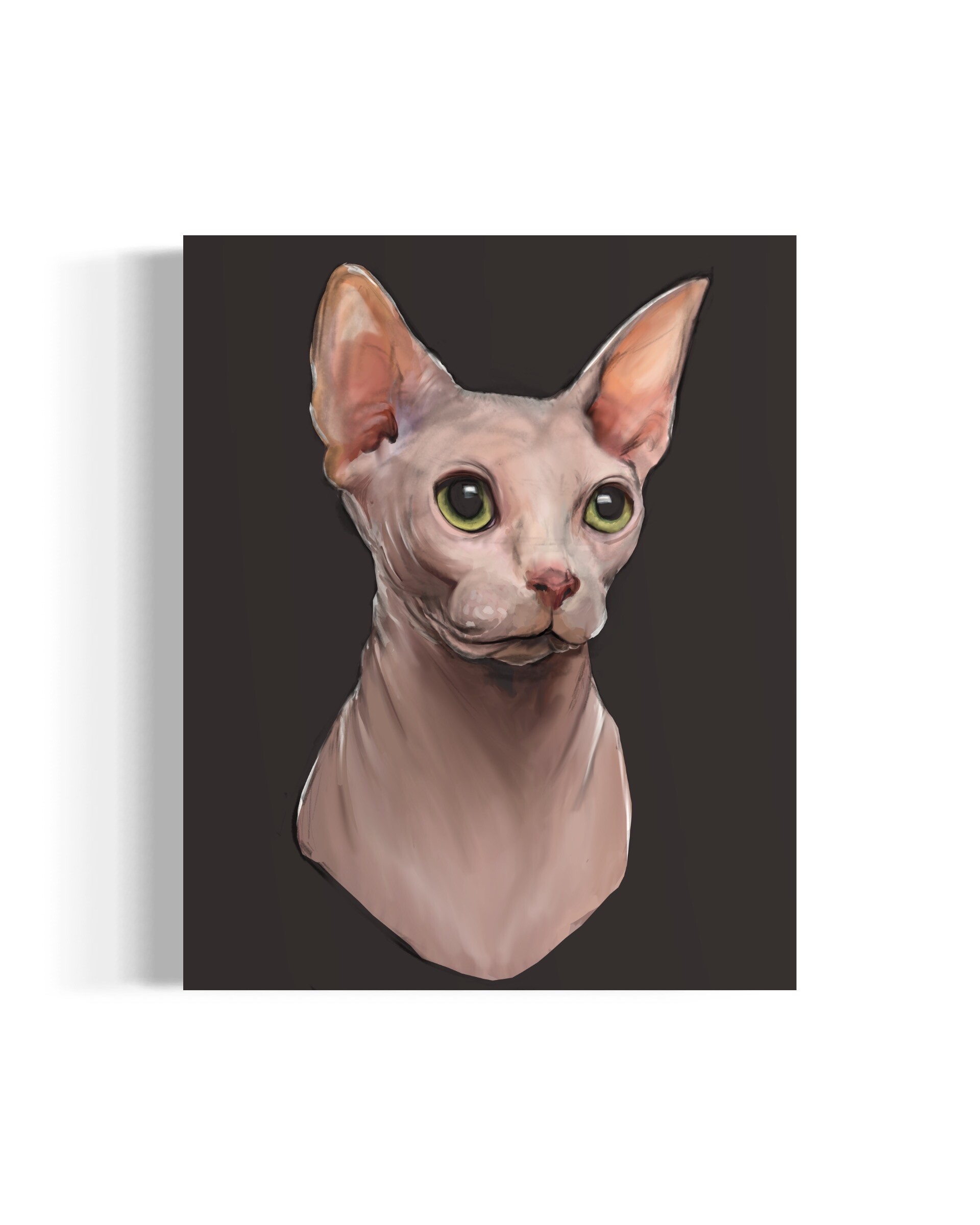 ArtStation - Sphynx Cat