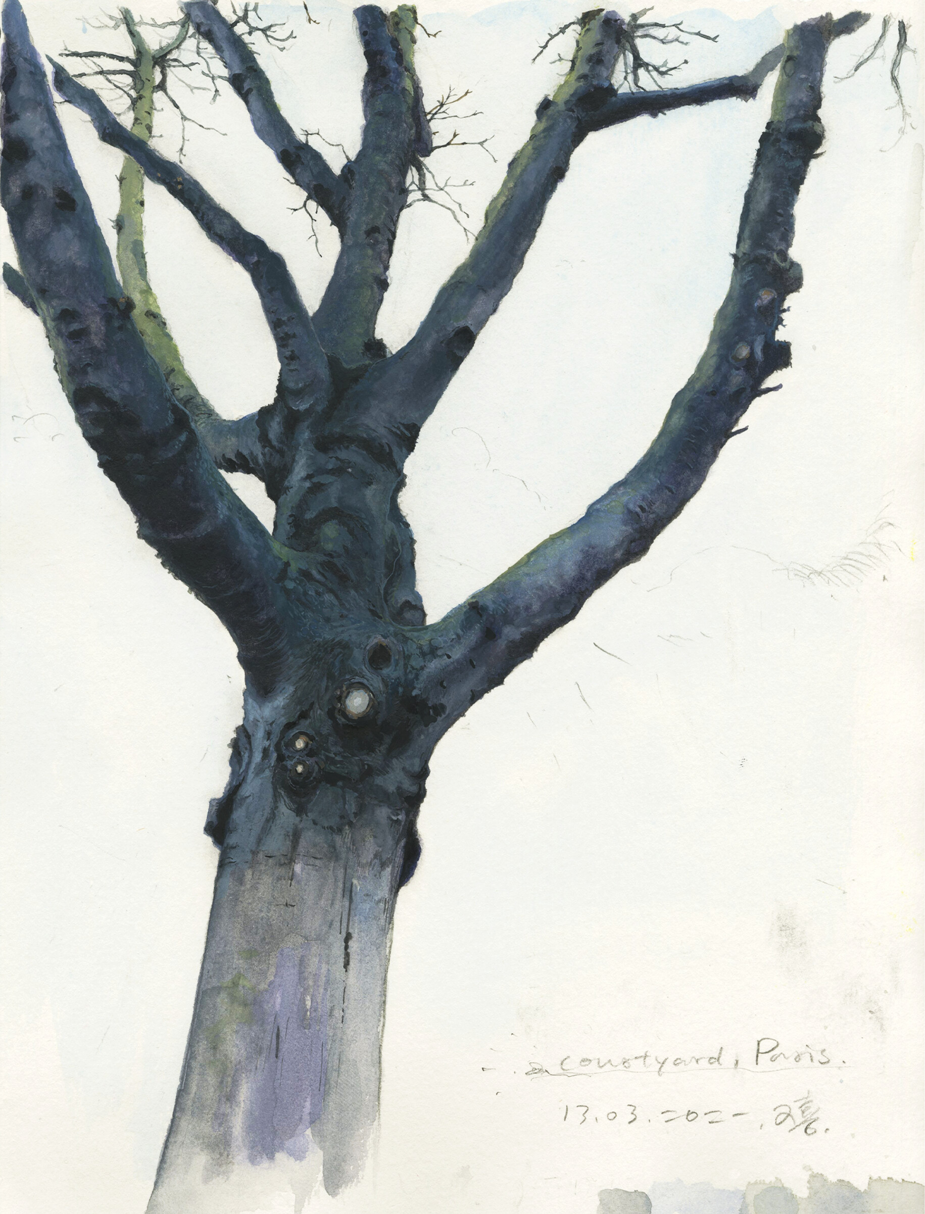 ArtStation - Observation drawings