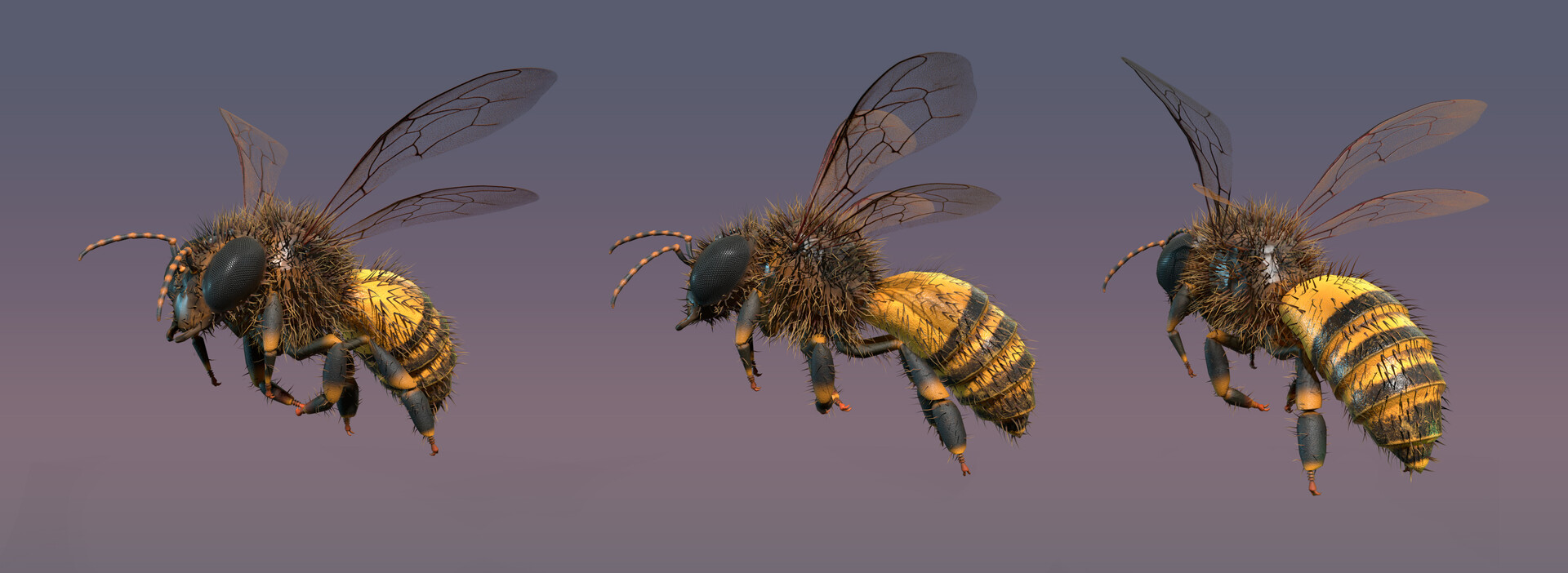 ArtStation - Honey Bee