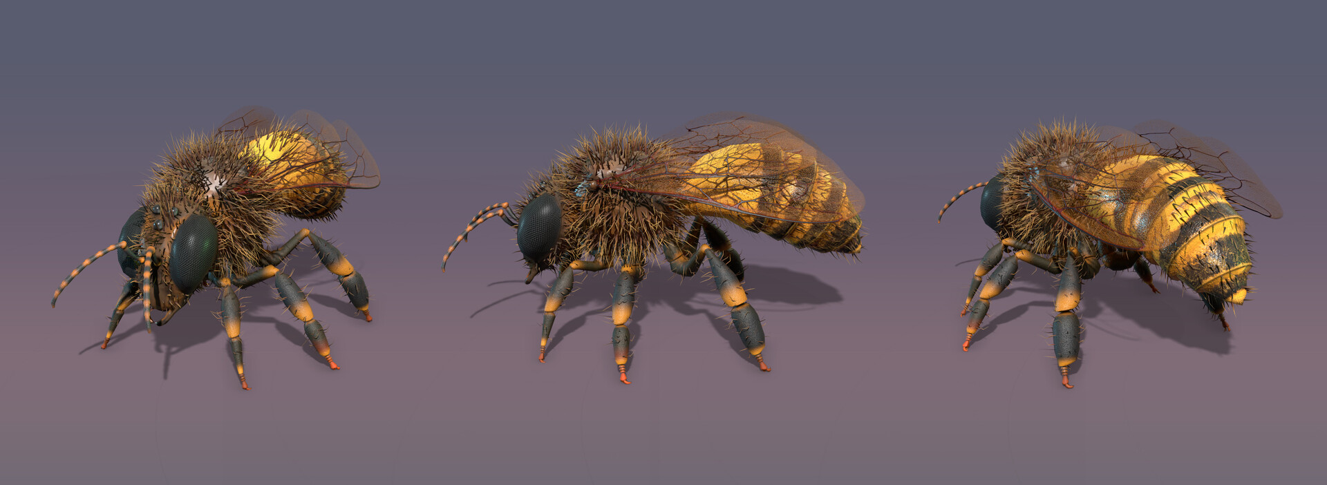 Rakesh Reddy - Honey Bee