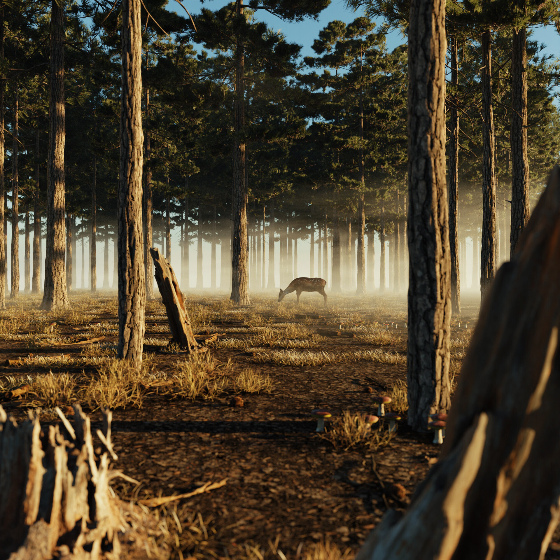 ArtStation - Morning forest