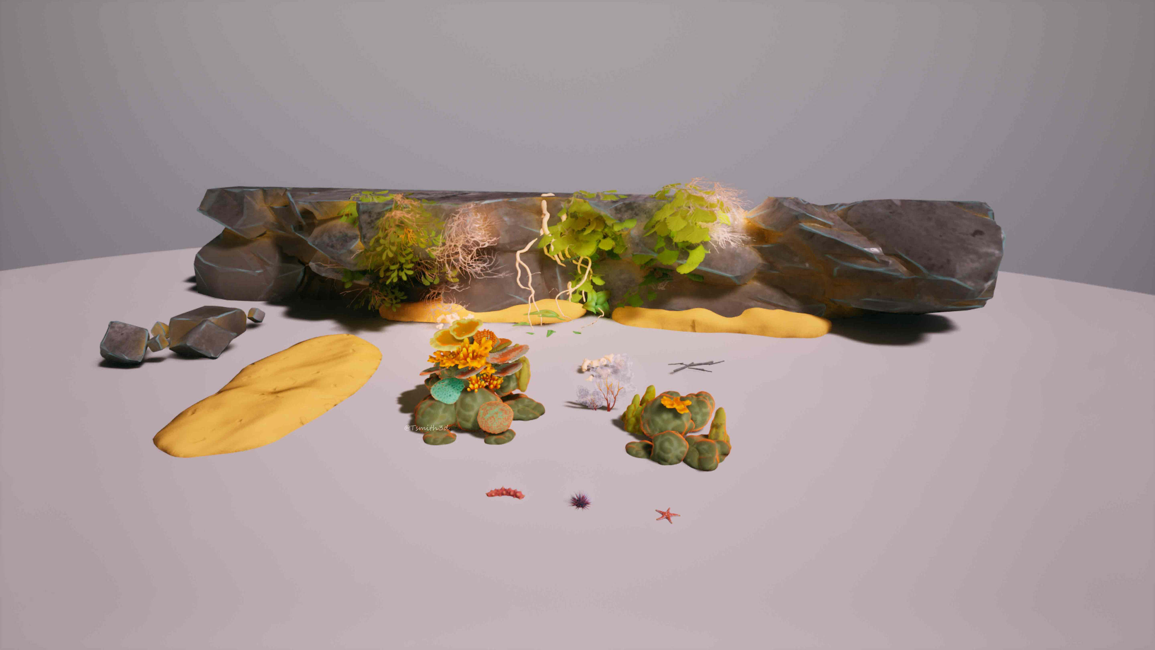 Tyler Smith - Coral Reef Environment Cube in UE5