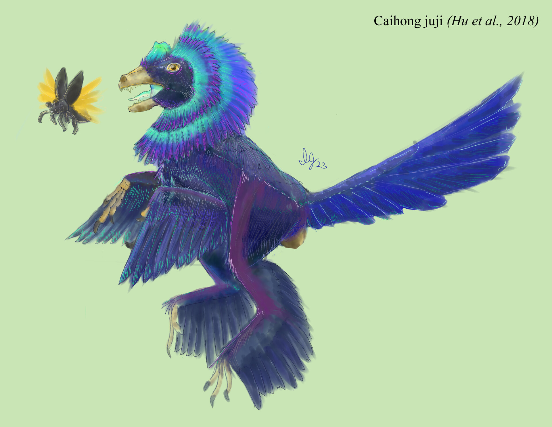 ArtStation - Caihong juji