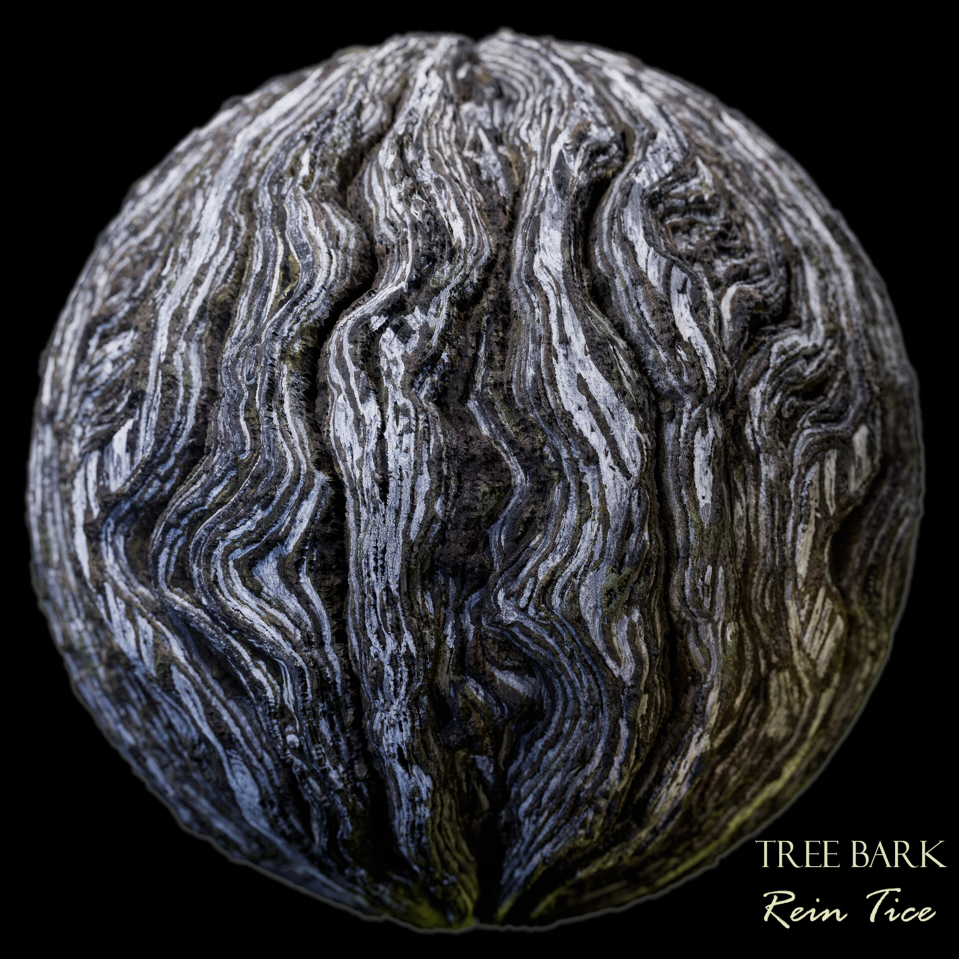 Rein Tice - Tree Bark Substance Material