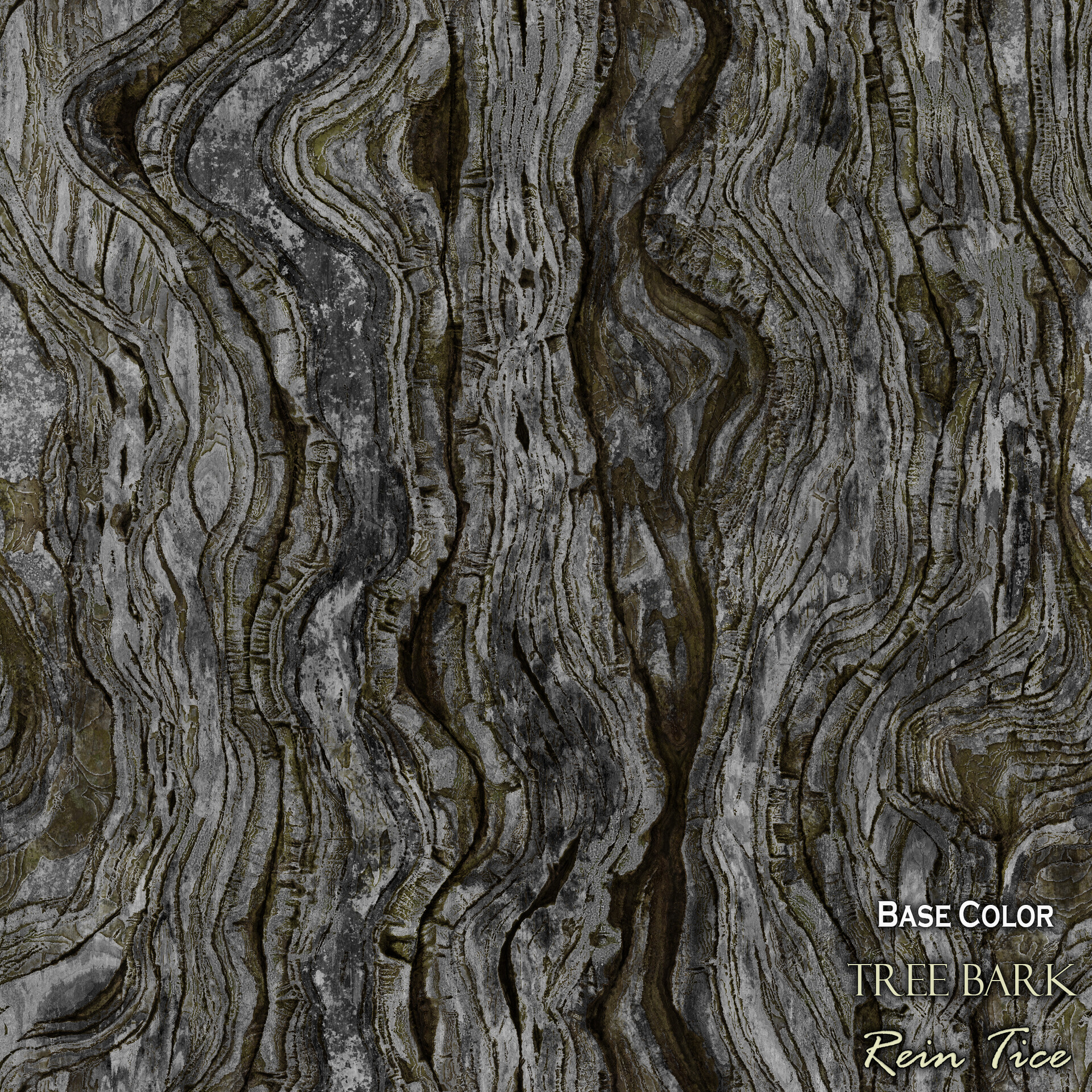 Rein Tice - Tree Bark Substance Material