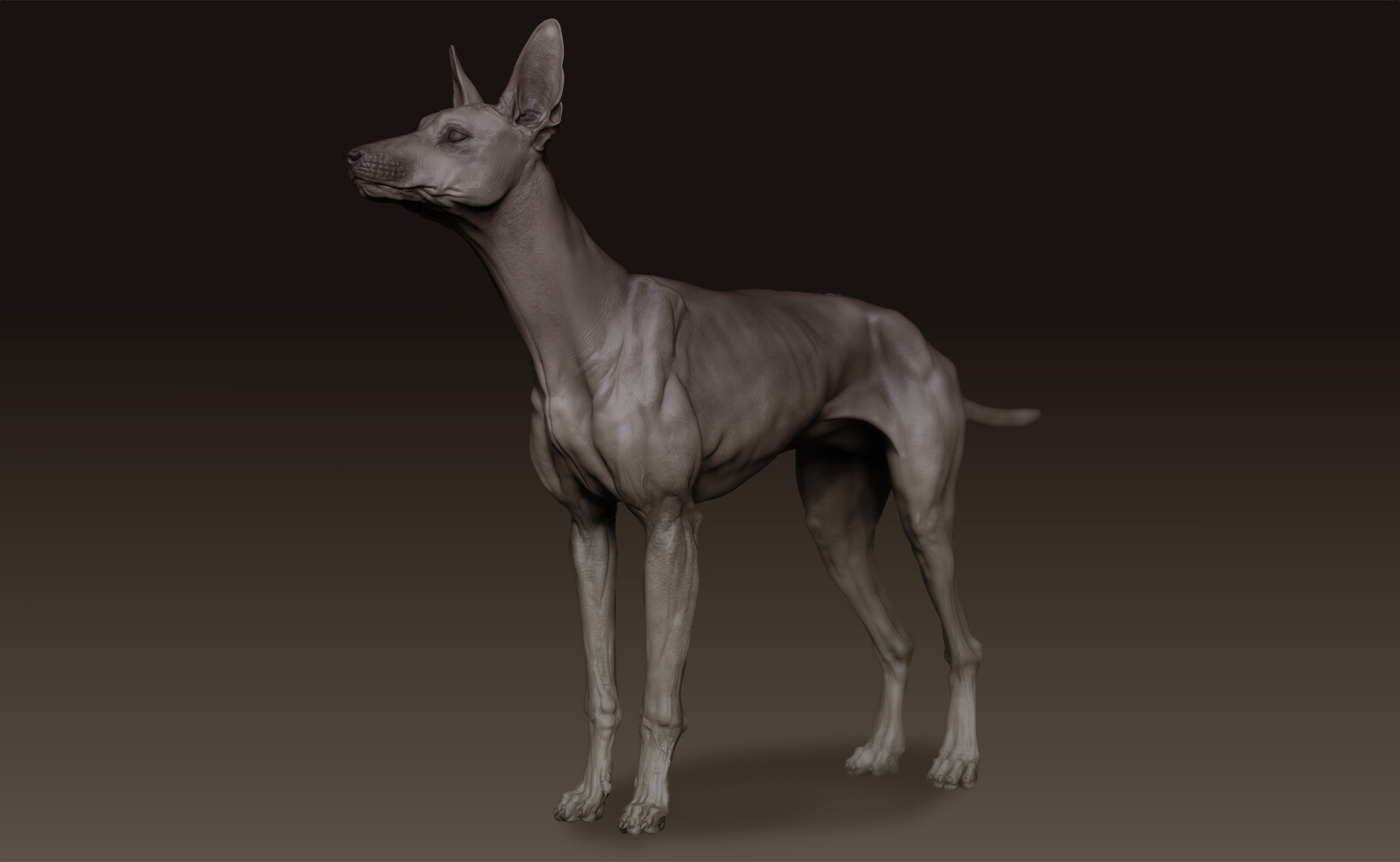 ArtStation - Anubis WIP