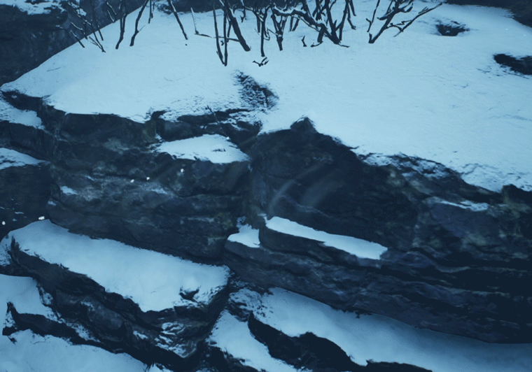 Lisa Kaschner - VFX for Snow Environment - UE5 Niagara