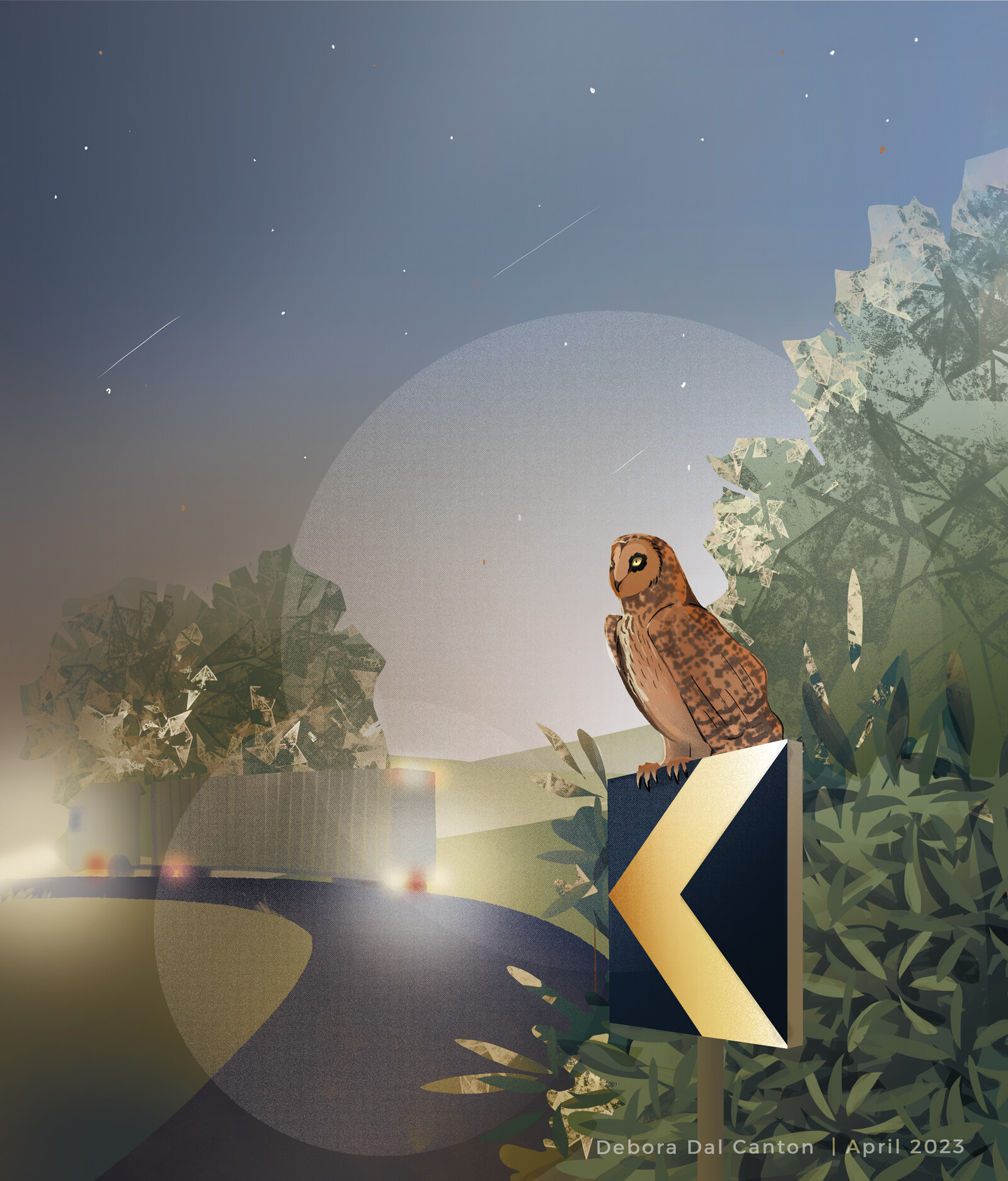 ArtStation - Owl on the Road