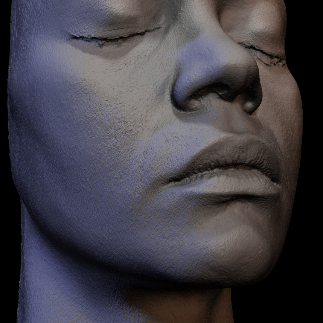 Celebrity Face Reference For 3d Modeling