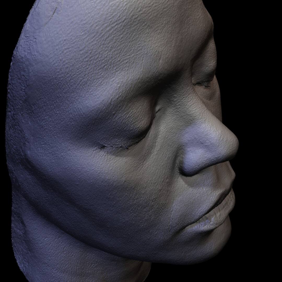 Celebrity Face Reference For 3d Modeling