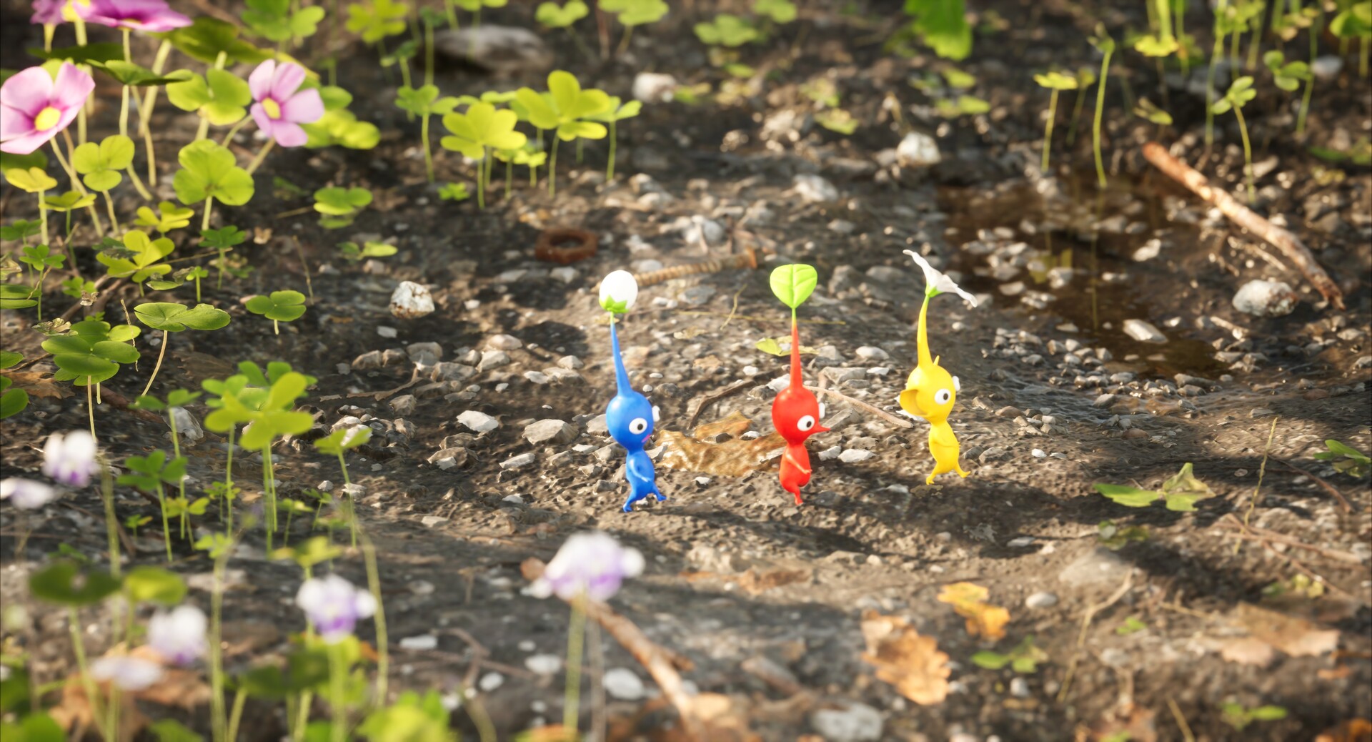 Adrian Alanis - Pikmin Exploration