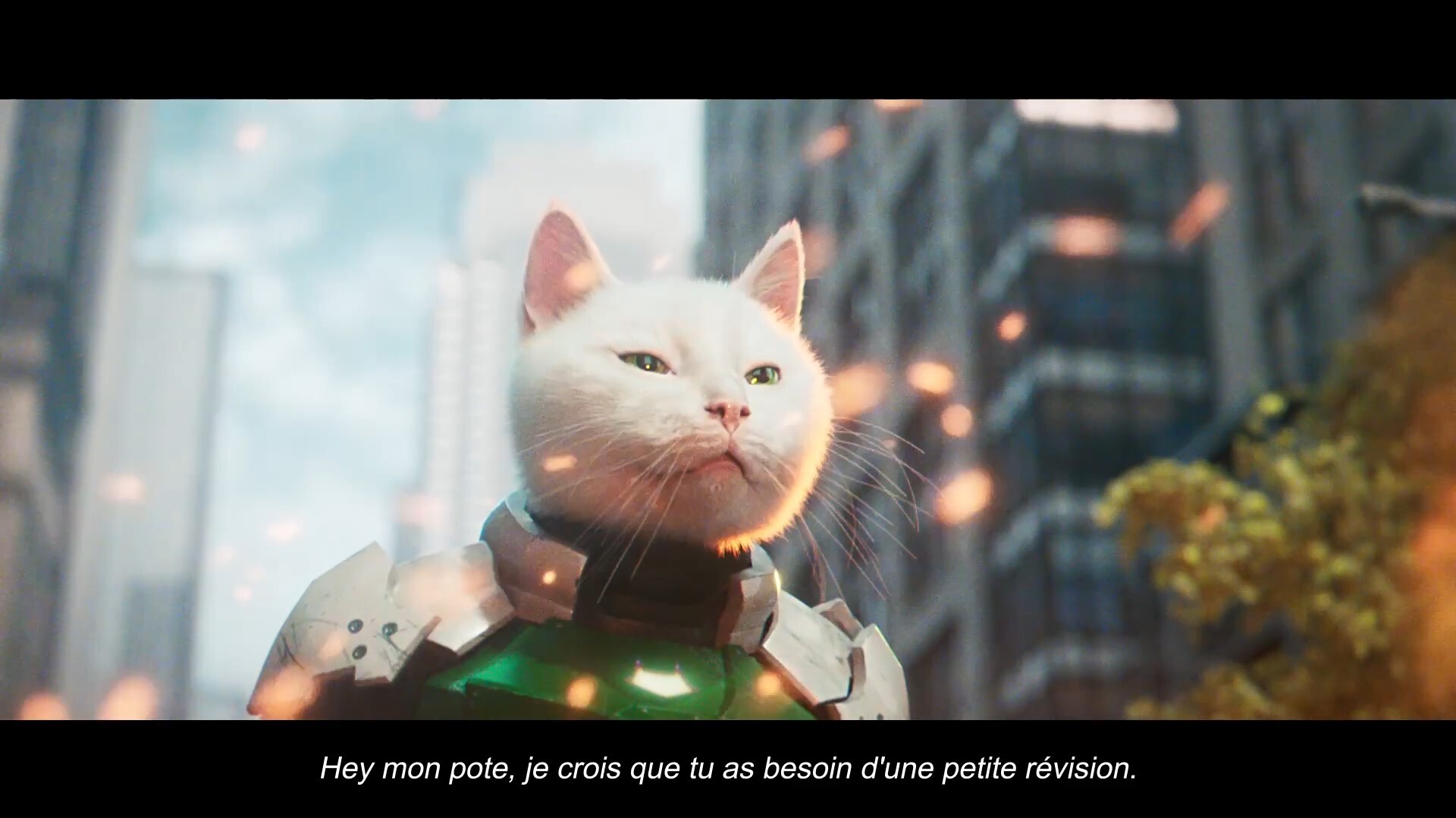 ArtStation - Feu Vert : Par le Pouvoir du Chat