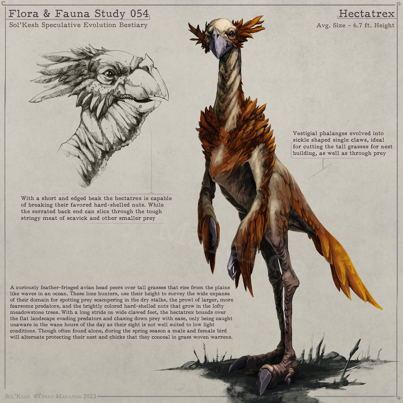 Terry Maranda - Hectatrex