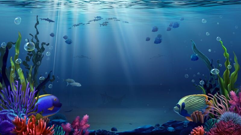 ArtStation - Colorful Background for the Ocean themed slot machine