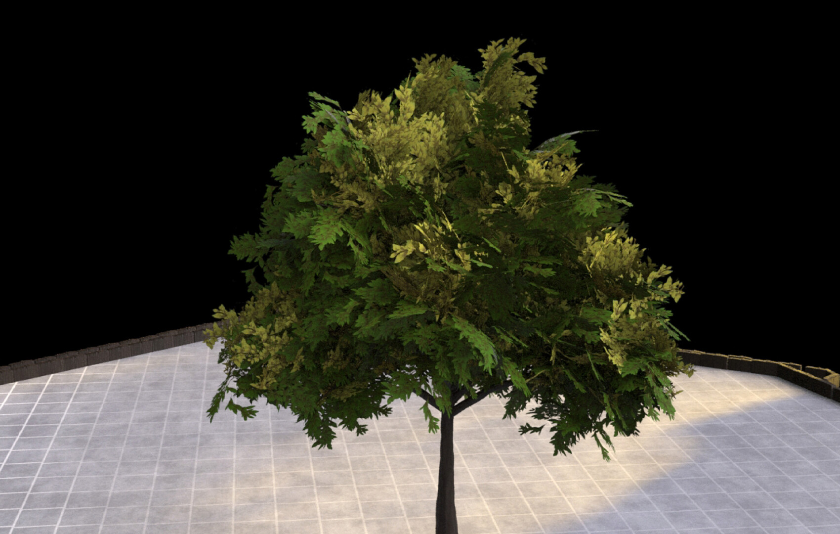 Ksenia Markina - Procedural location