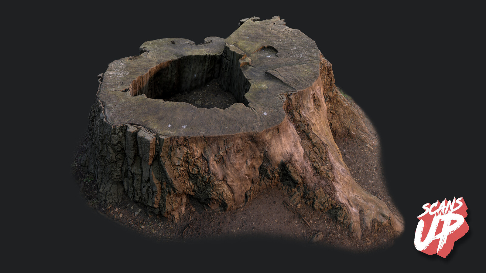 David Chumilla - ScansUp: Stump 01 - Photogrammetry Asset