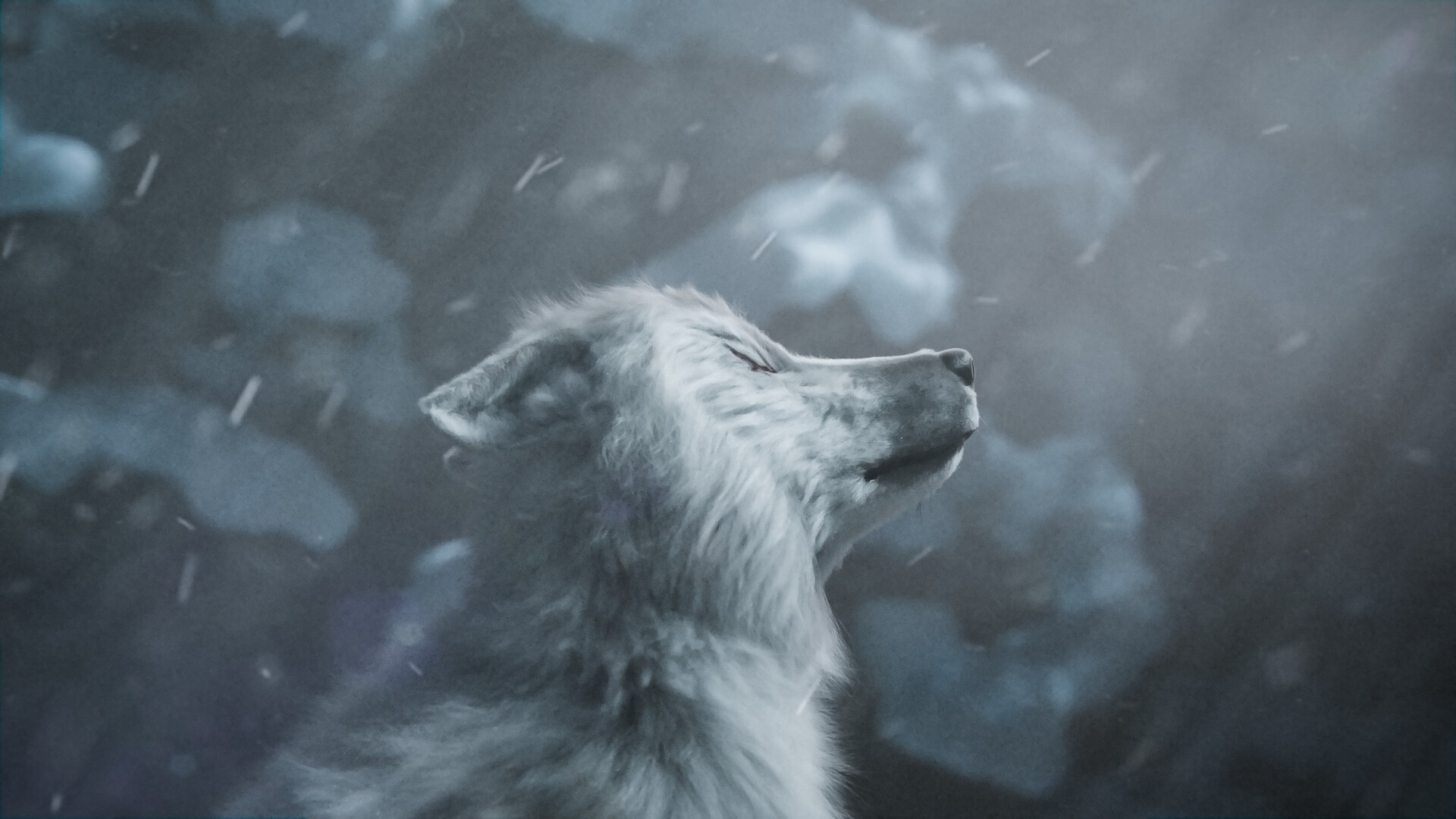 Deviant Vision - Wolf bust