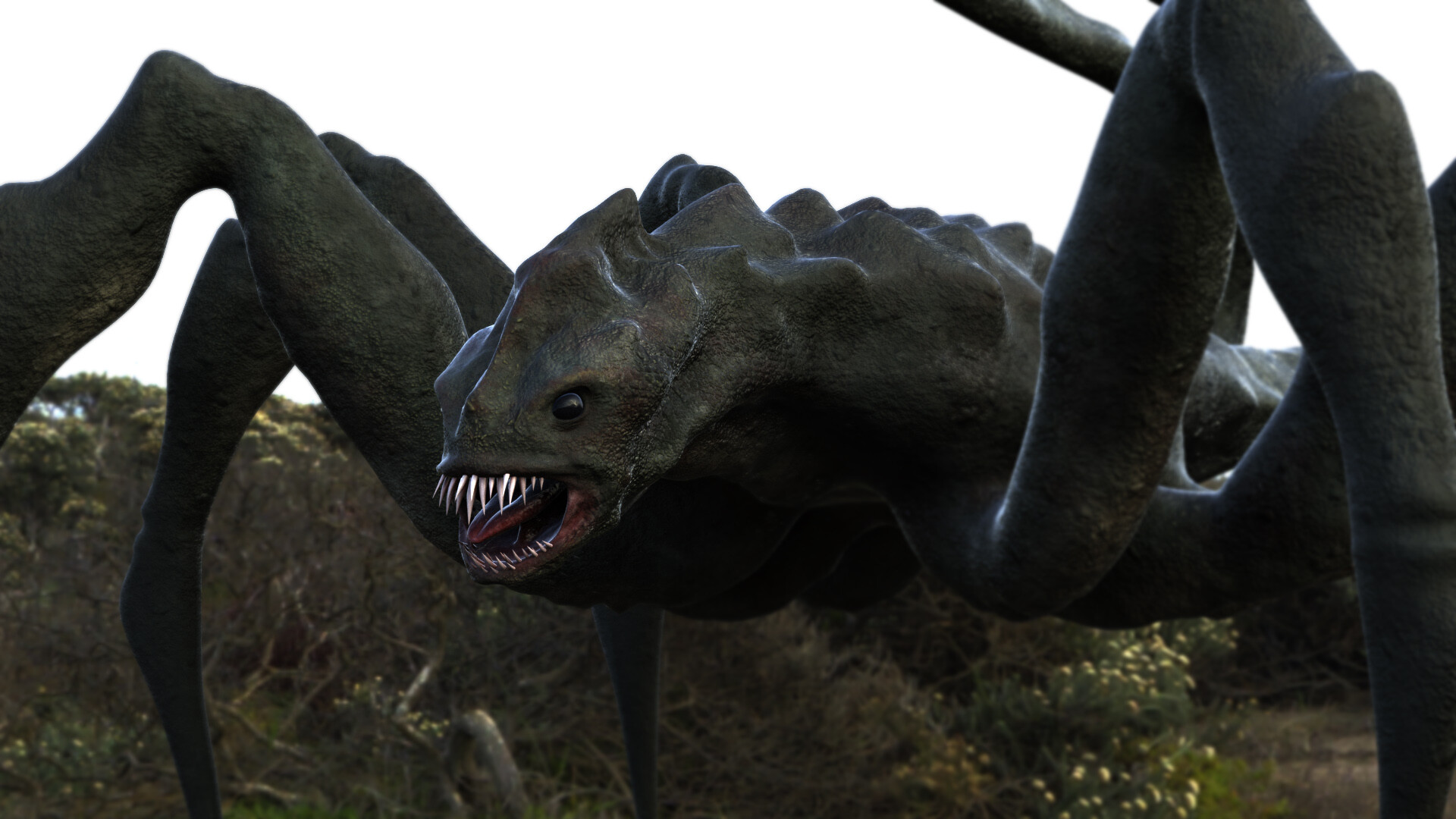 ArtStation - Spider Monster 3d Model