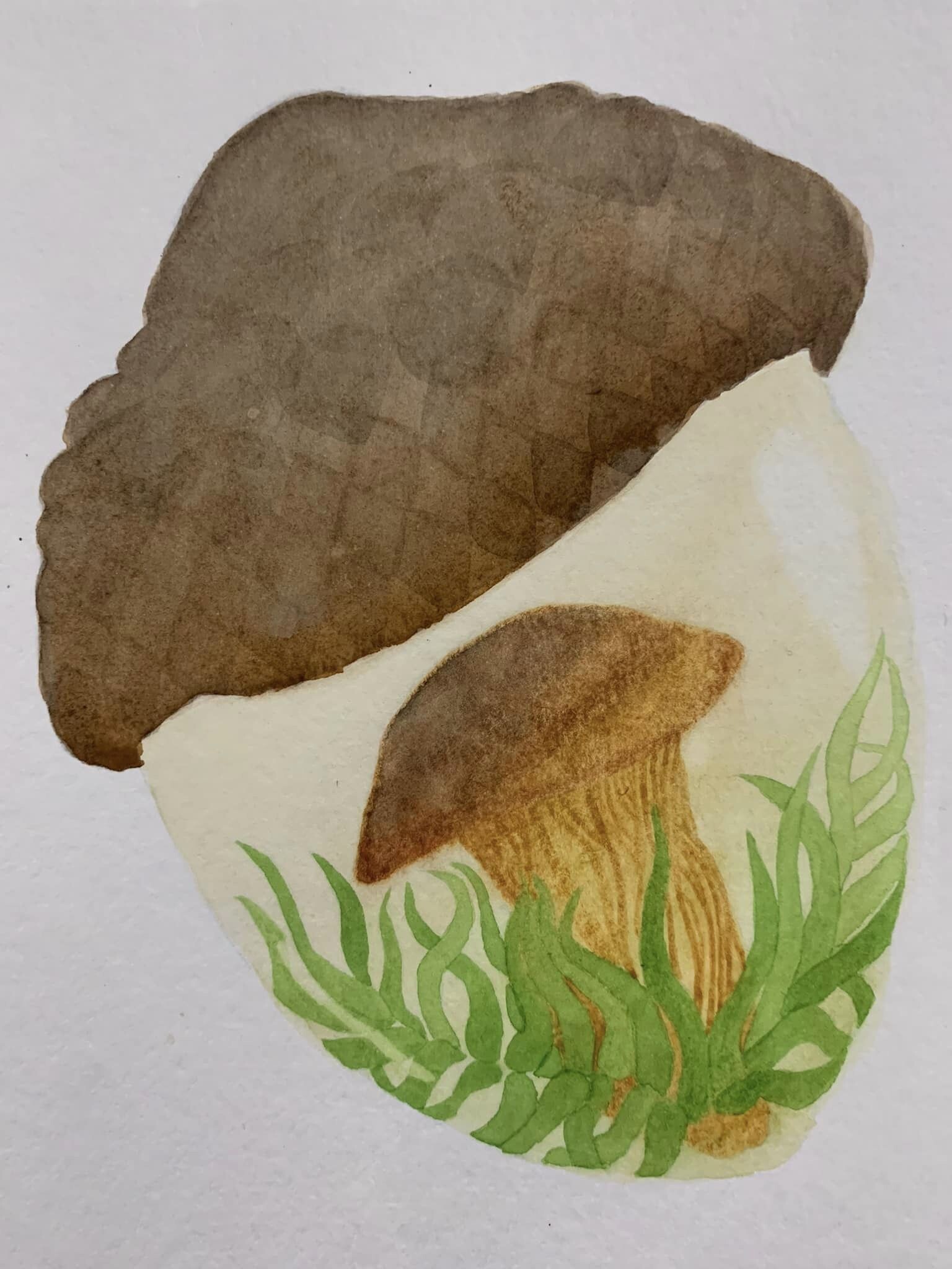 ArtStation - Acorn Capsule