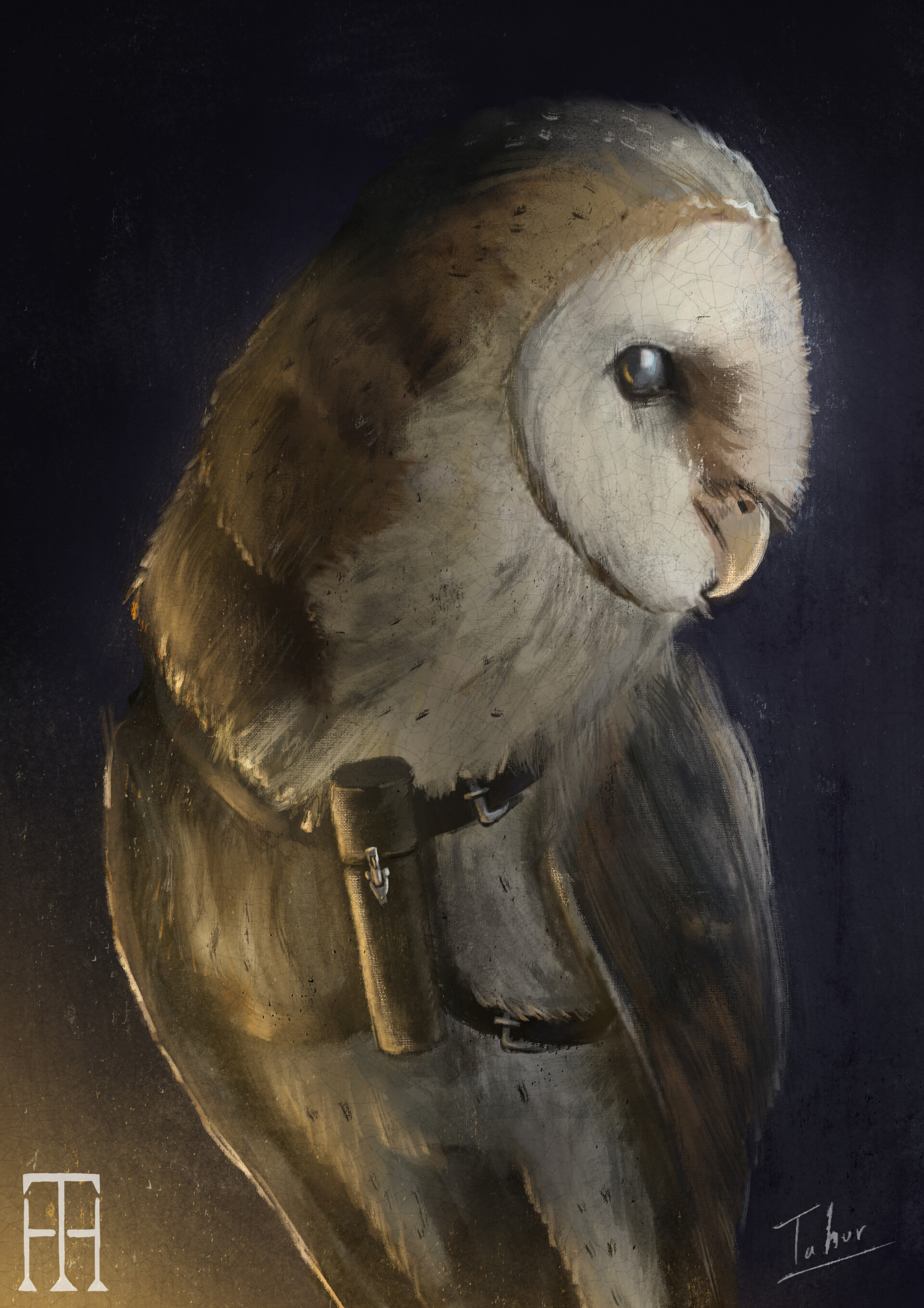 ArtStation - Messenger Owl