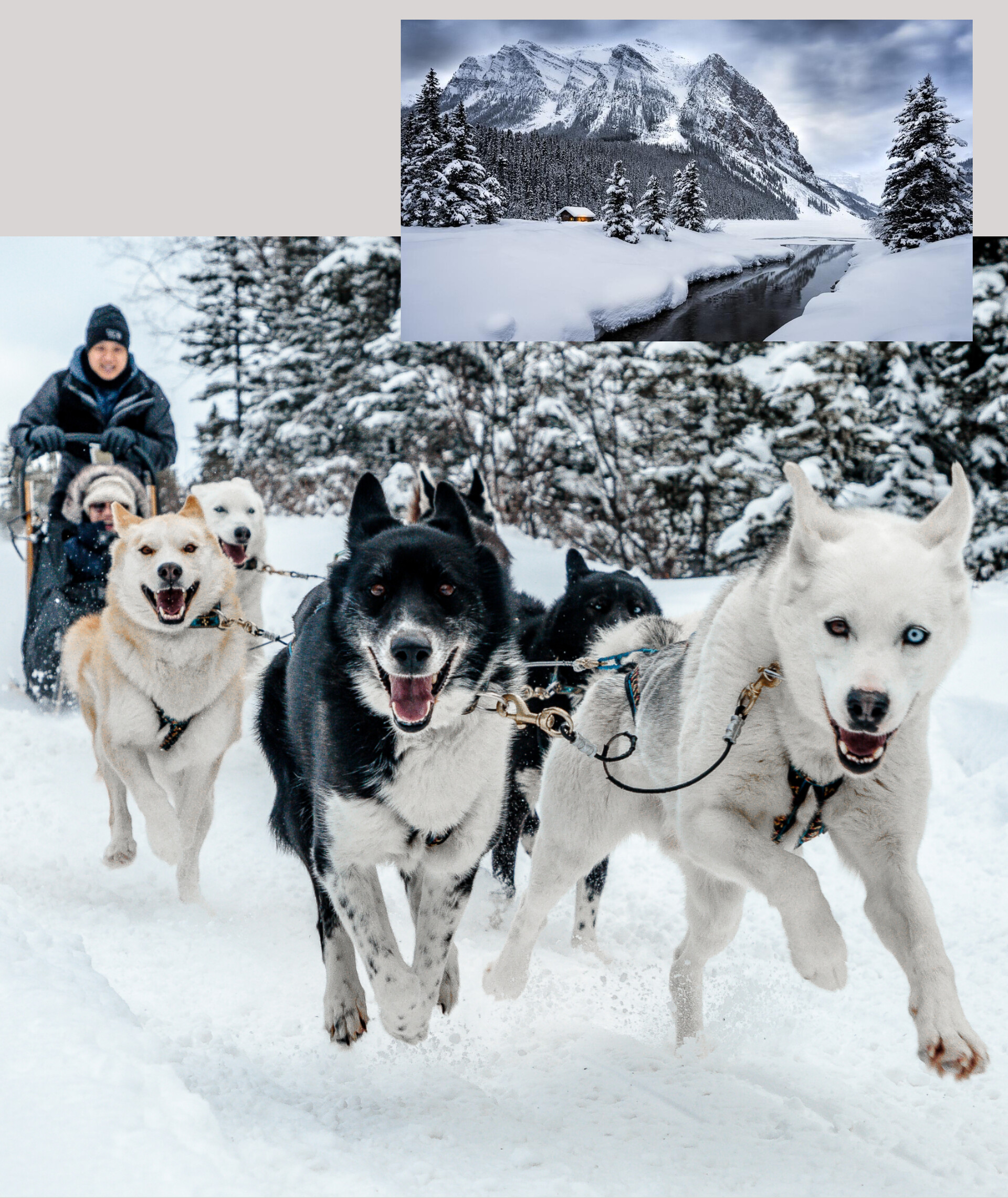 Autumn Meyer - L. L. Bean Winter 2023 Cover