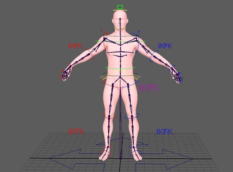ArtStation - Biped Rig (For Videogames)