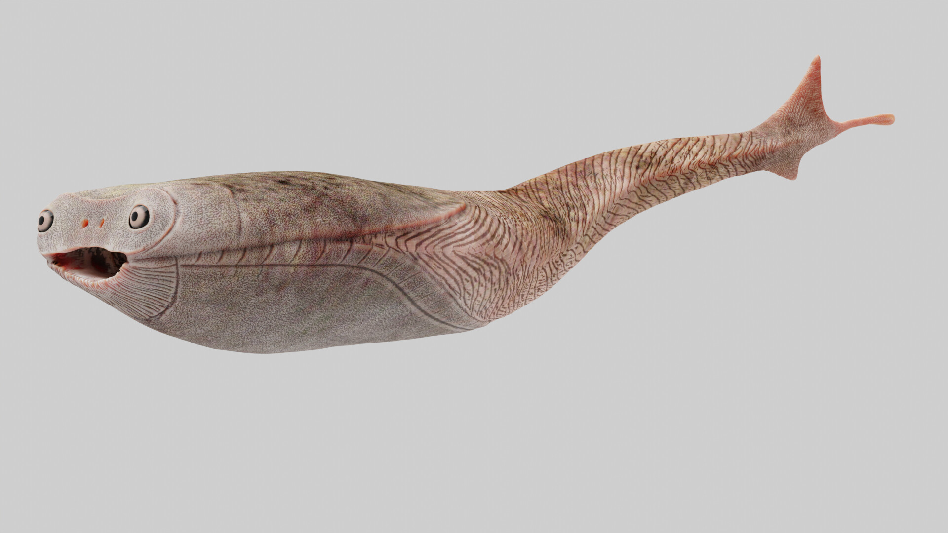 petr menshikov (looking for job) - 3D model of Sacabambaspis janvieri