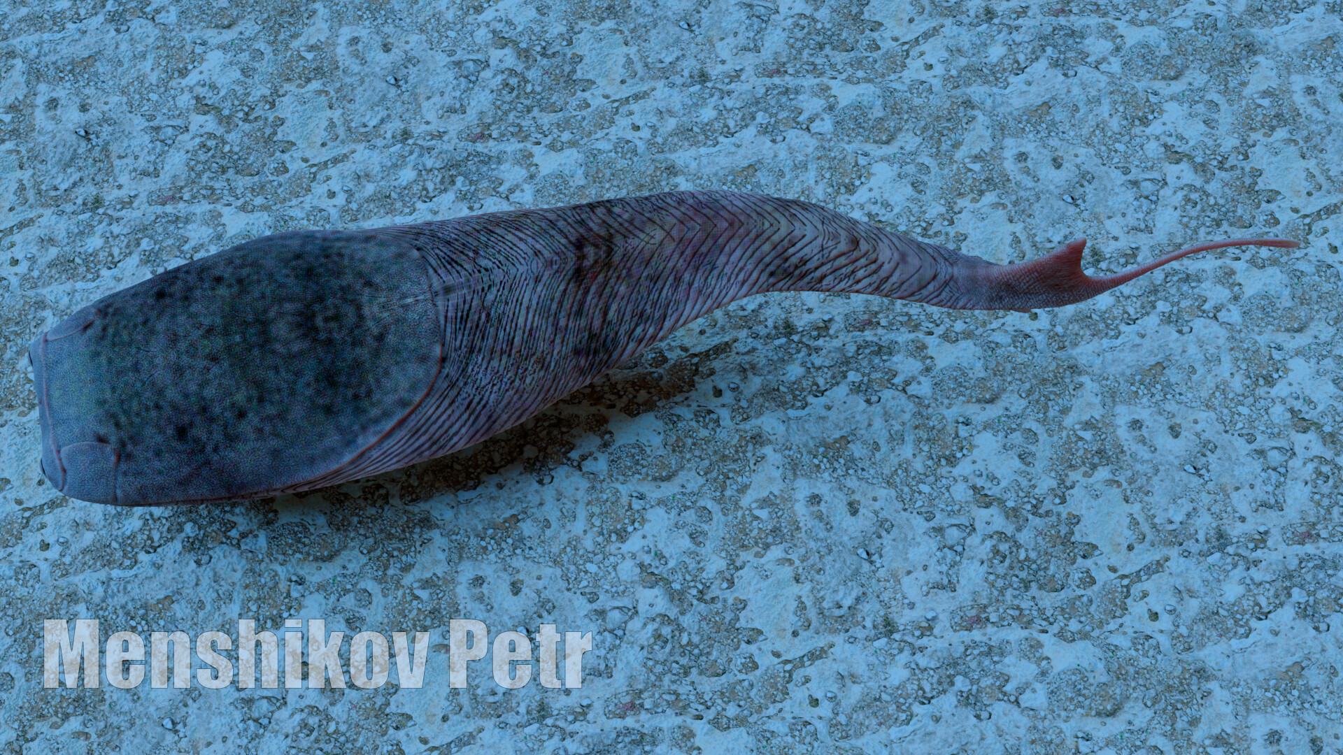 petr menshikov (looking for job) - 3D model of Sacabambaspis janvieri