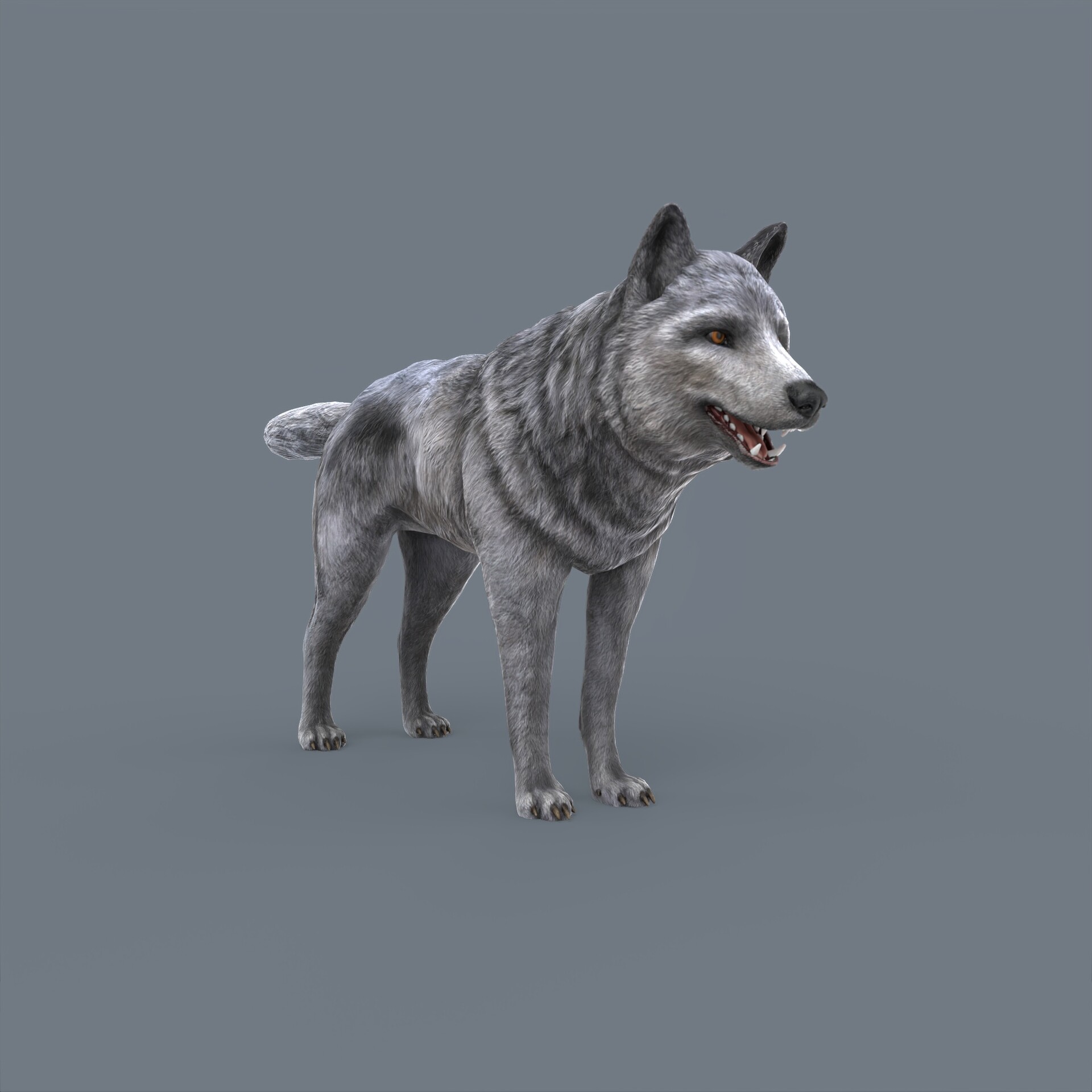 ArtStation - Wolf Low Poly