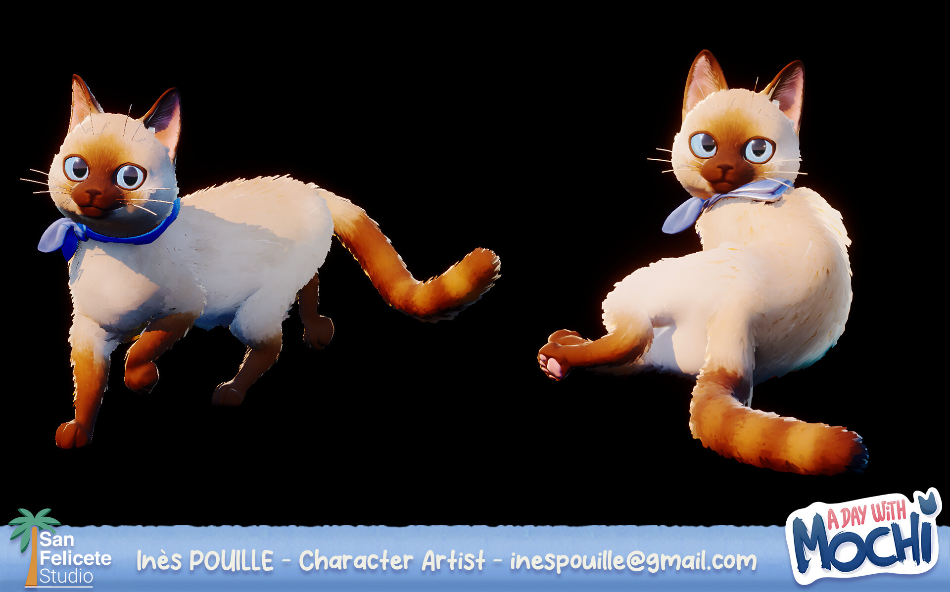 Inès Pouille - A Day with Mochi - Cats Models