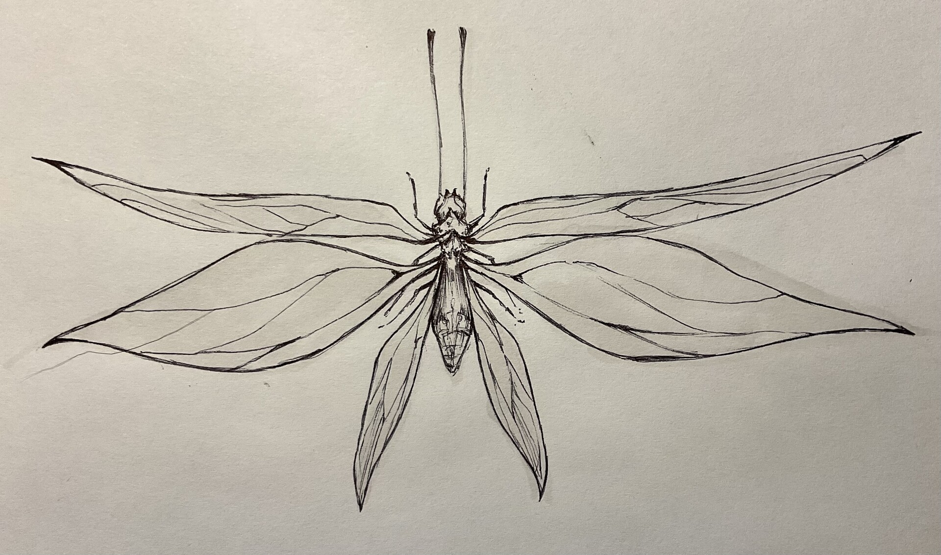 ArtStation - insects creature design