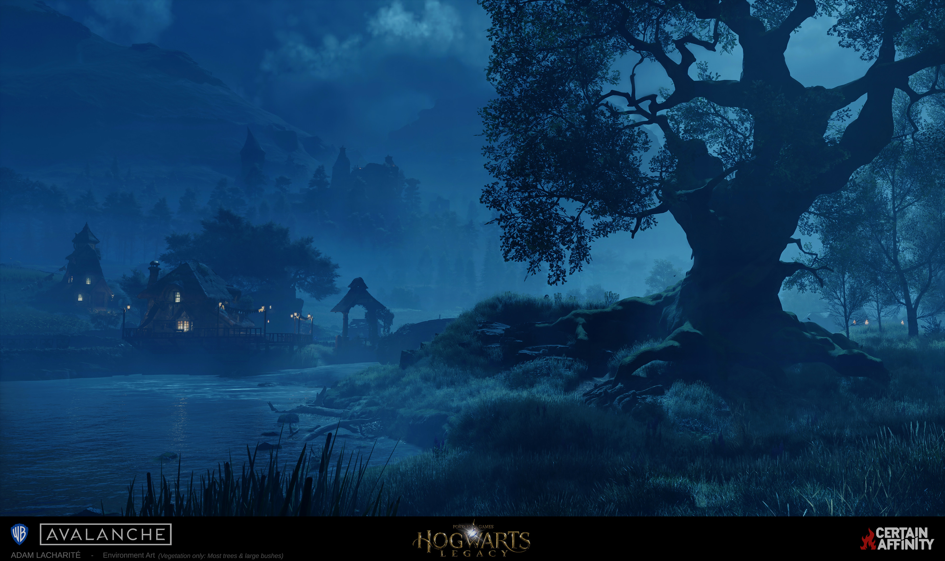 adam-lacharite-adamlacharite-hogwartslegacy-vegetation-night-003.jpg ...
