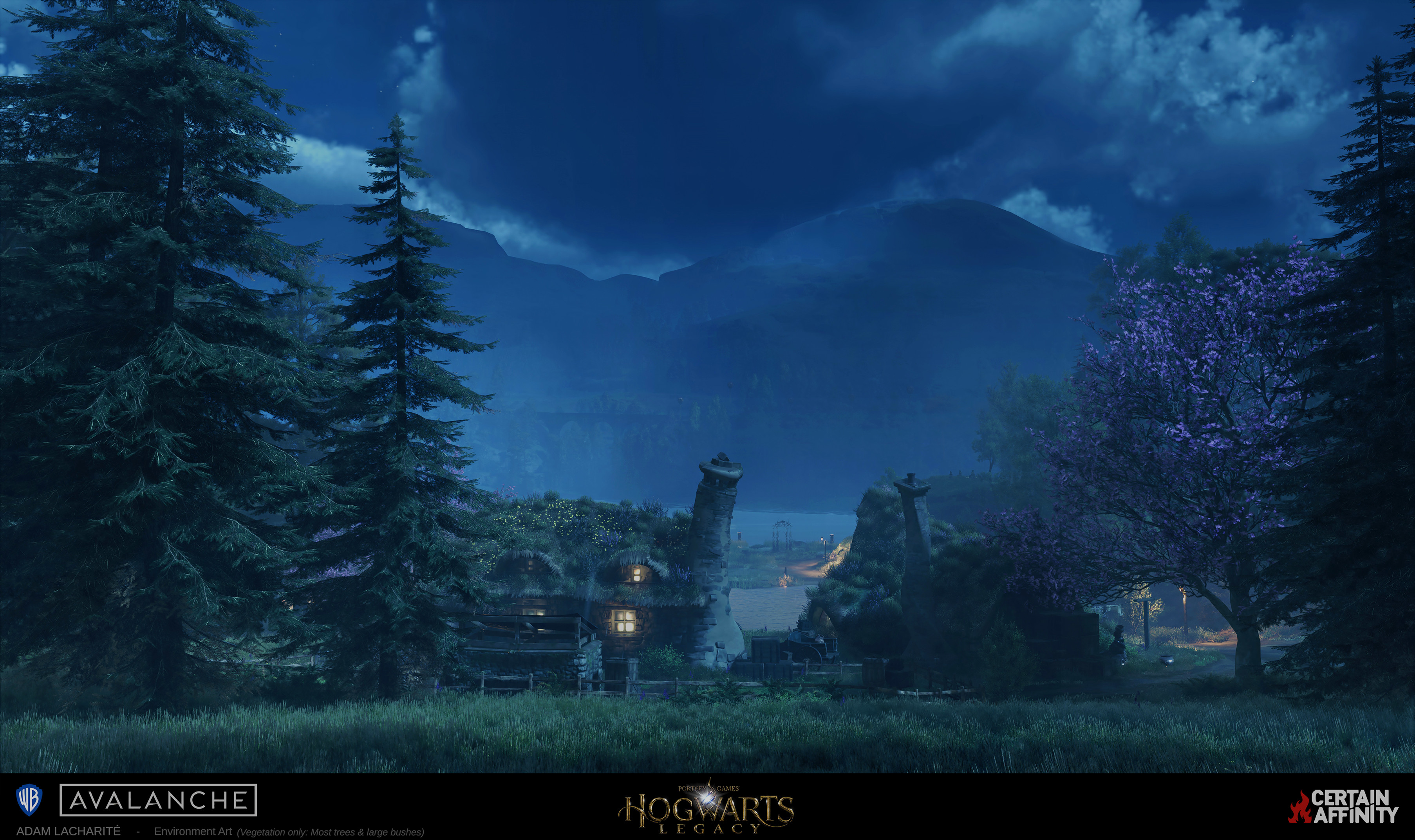 adam-lacharite-adamlacharite-hogwartslegacy-vegetation-night-004.jpg ...