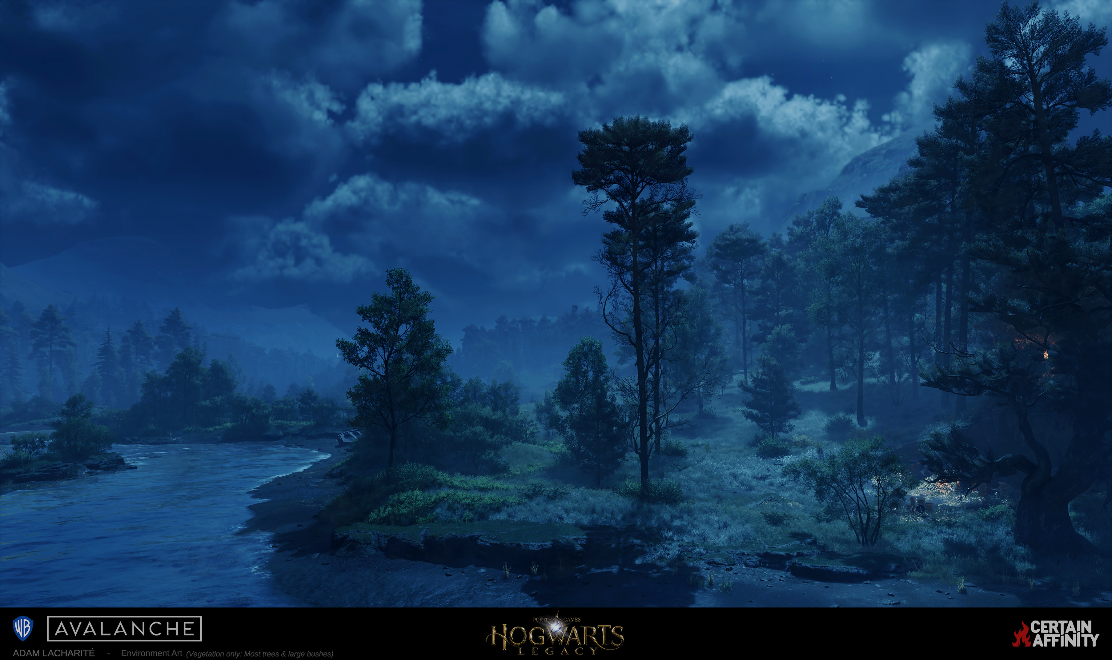 adam-lacharite-adamlacharite-hogwartslegacy-vegetation-night-007.jpg ...