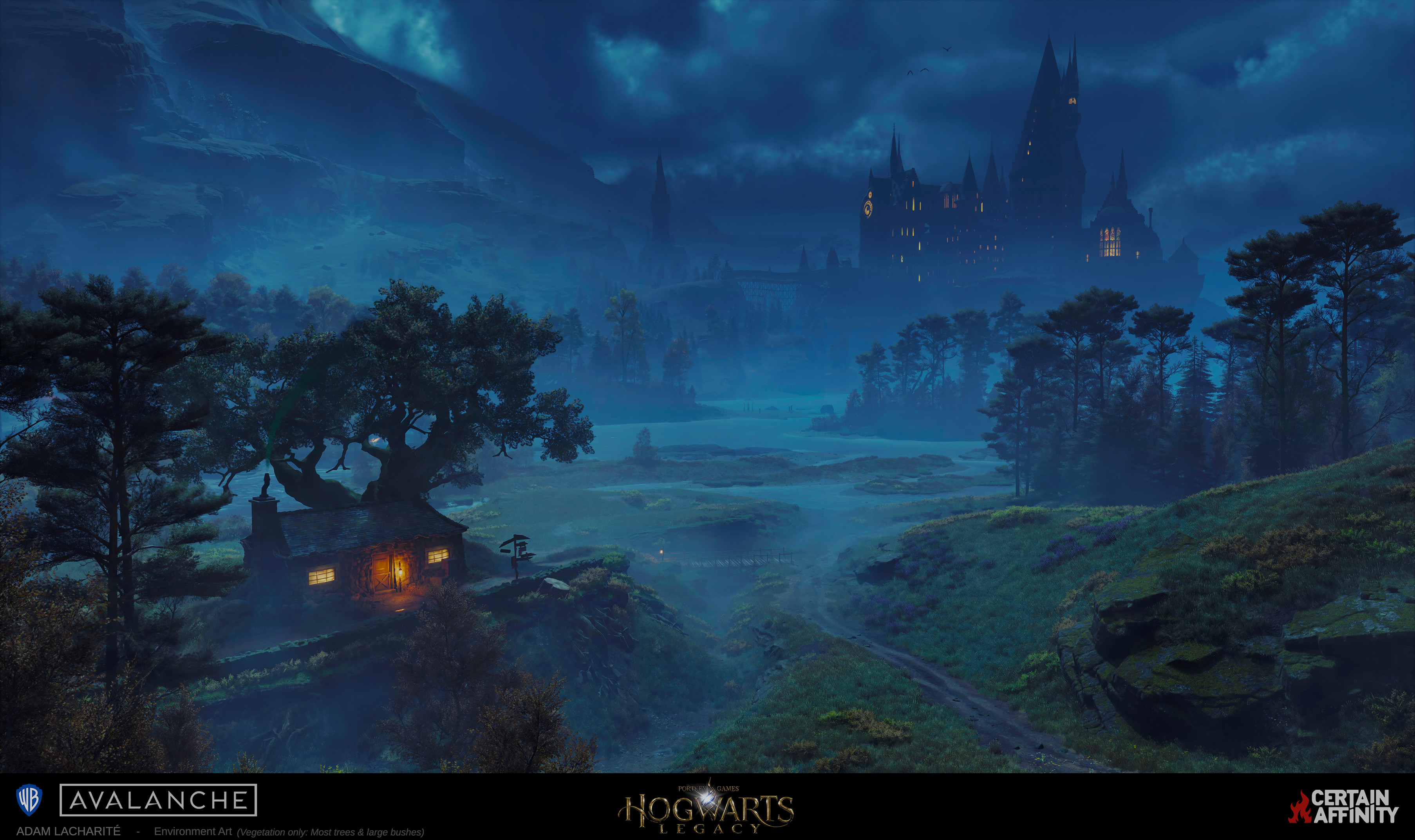adam-lacharite-adamlacharite-hogwartslegacy-vegetation-night-009.jpg ...