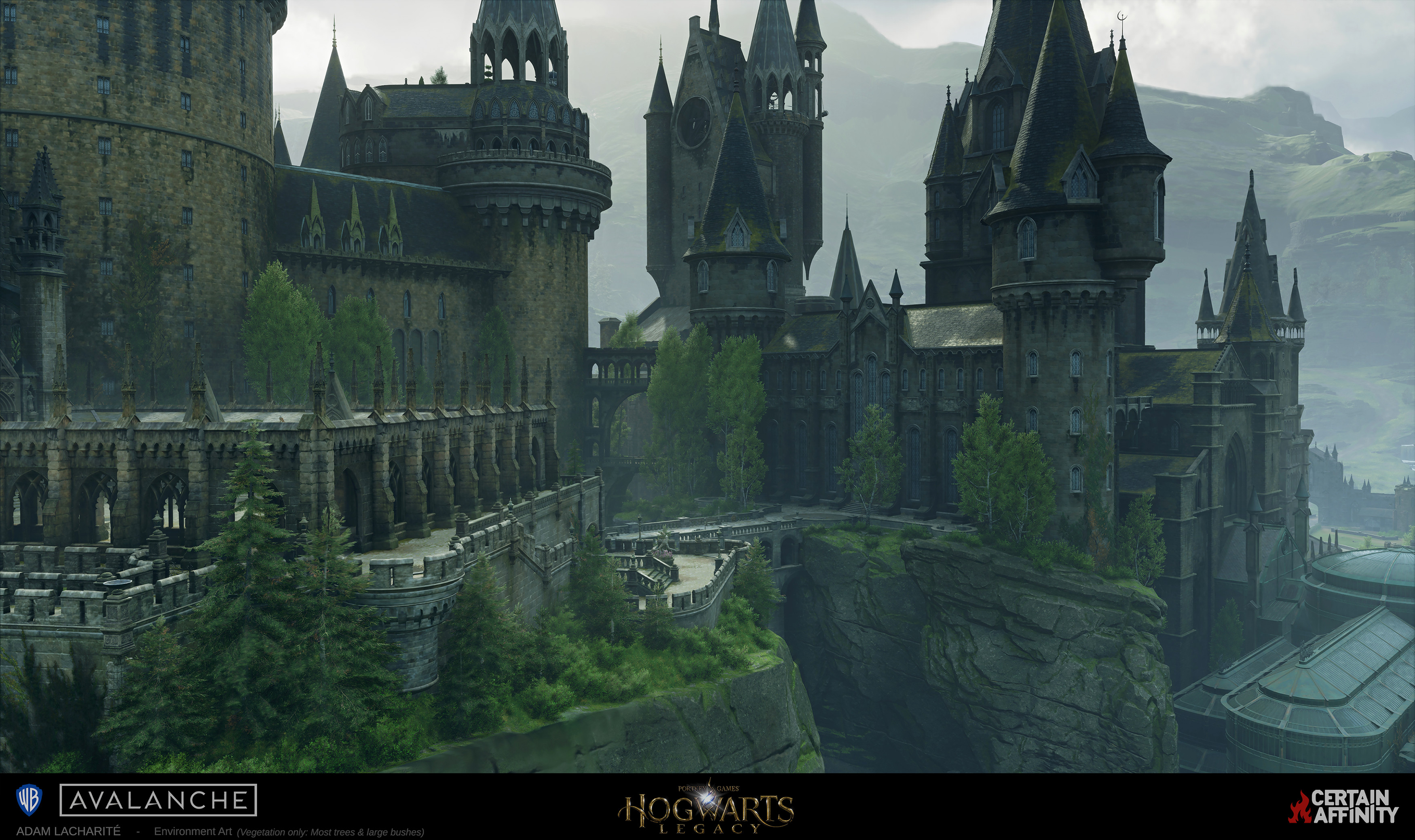 adam-lacharite-adamlacharite-hogwartslegacy-vegetation-summer-005.jpg ...