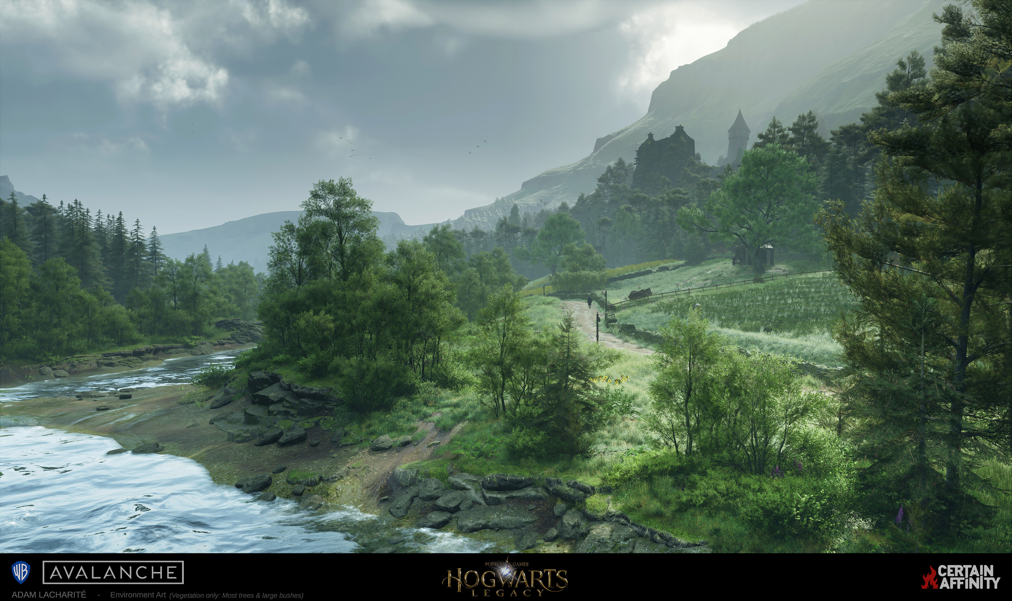 adam-lacharite-adamlacharite-hogwartslegacy-vegetation-summer-007.jpg ...