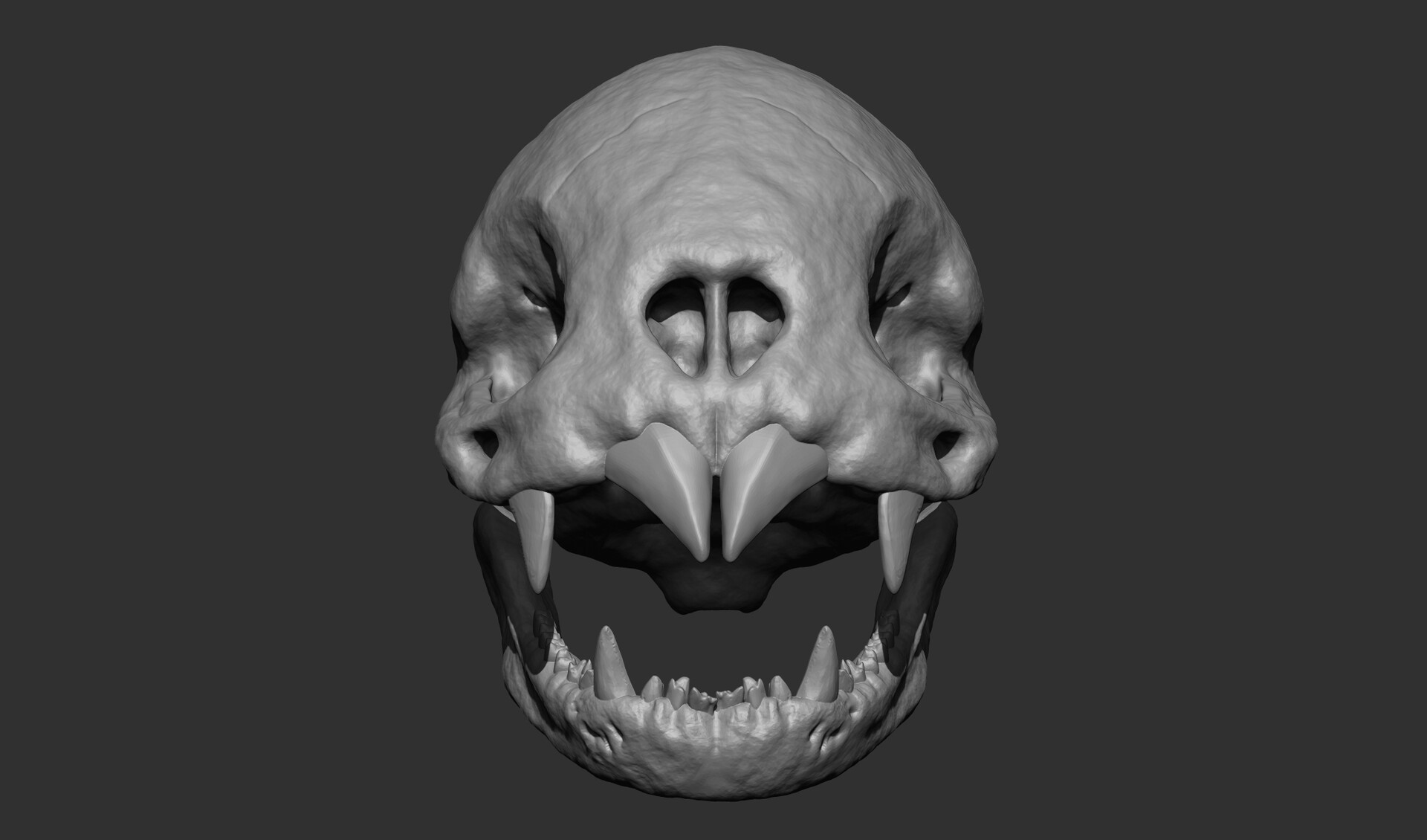 ArtStation - Vampire Bat Skull