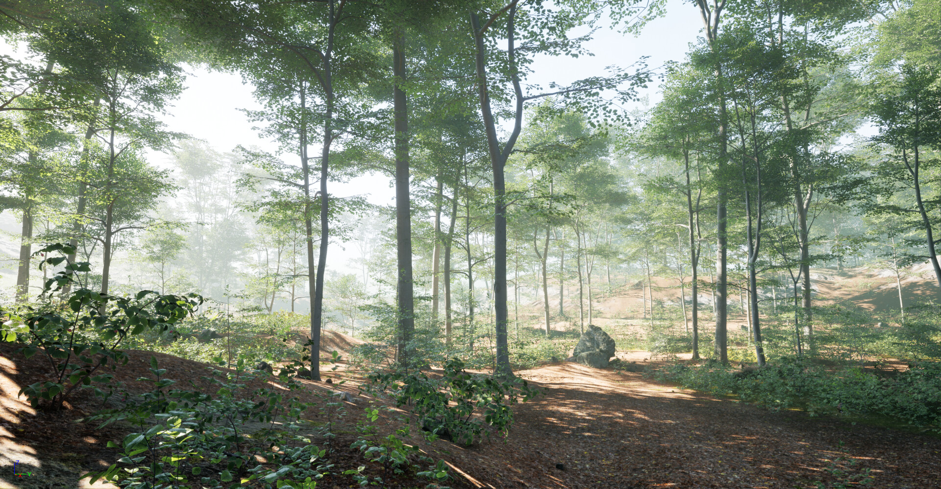 ArtStation - Procedural Forest